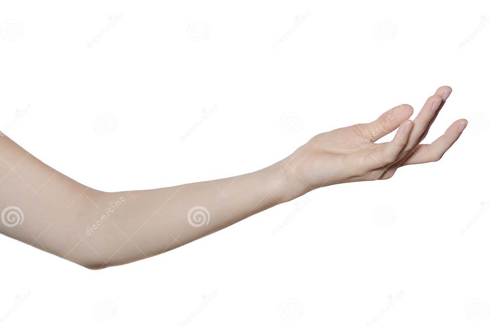 Hand and Arm Isolated on White Stock Photo - Image of isolated ...