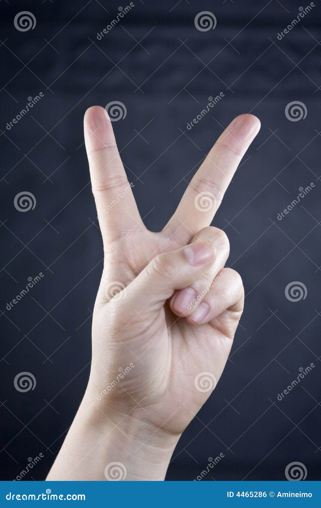 Hand assumed the posture stock photo. Image of communications - 4465286