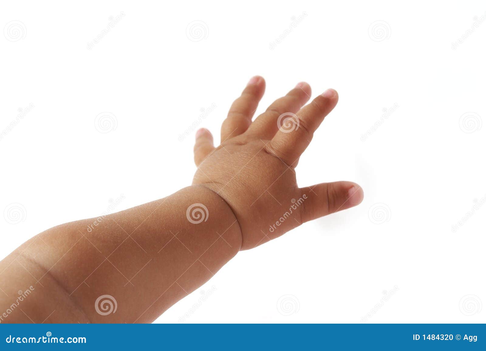 Hand of baby stock photo. Image of little, hand, pretty - 1484320