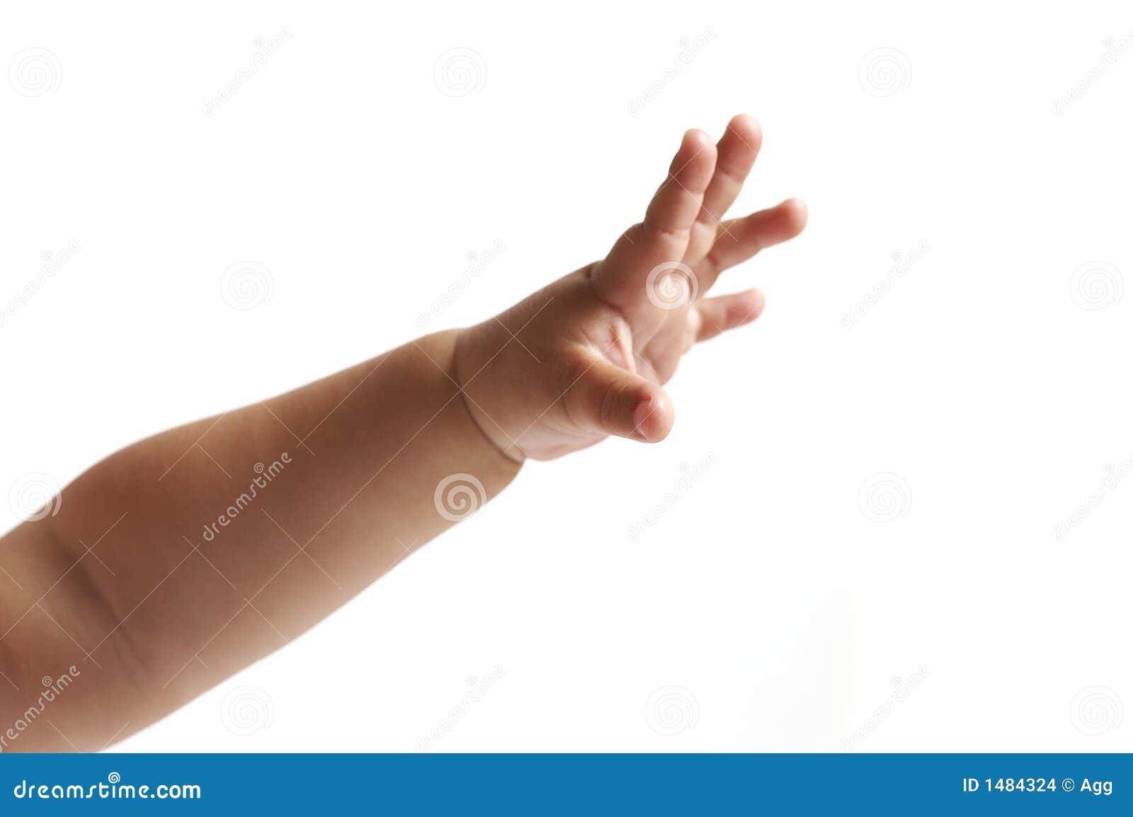 Hand of baby stock photo. Image of children, nail, pudgy - 1484324