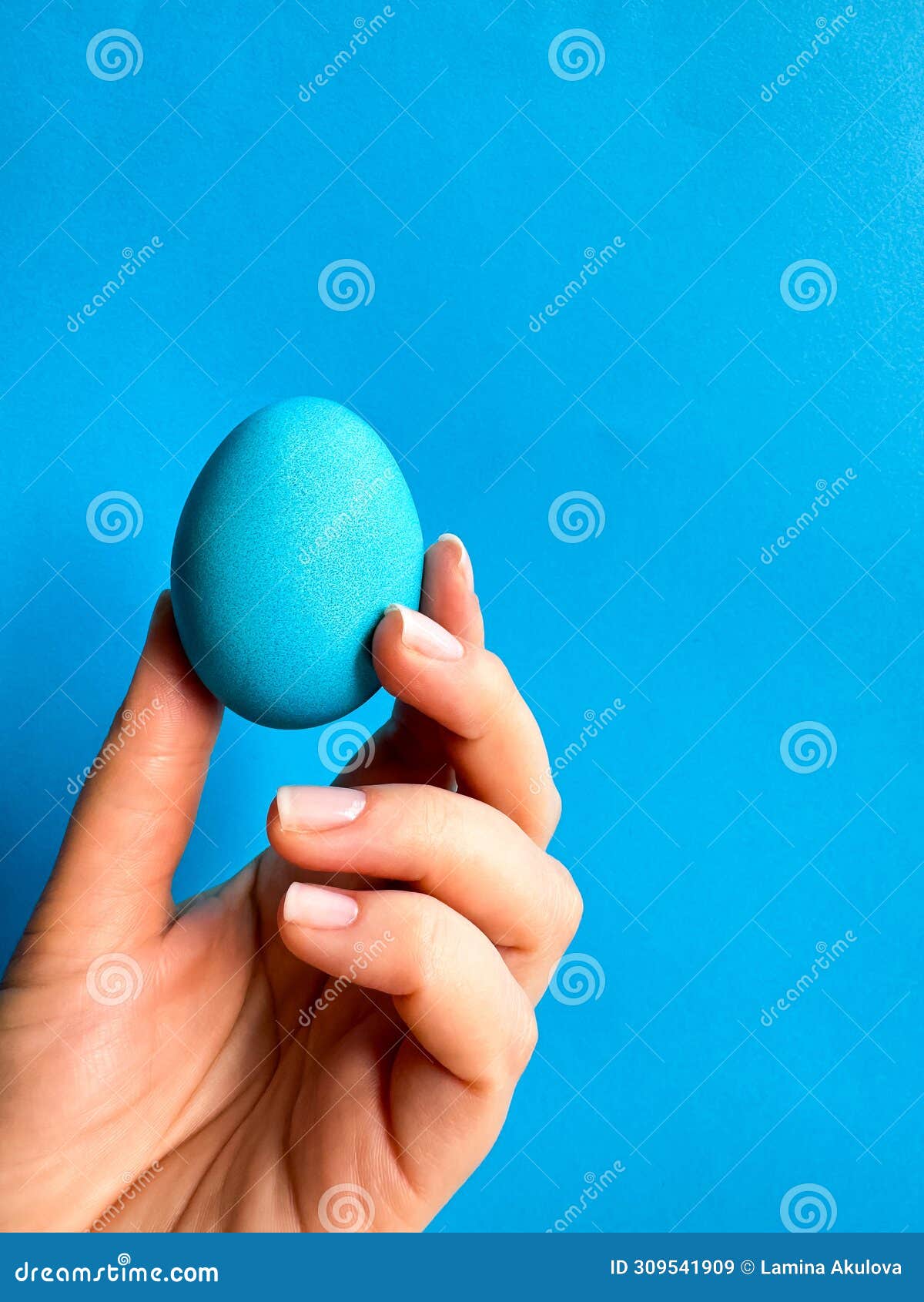 Hand Balancing Blue Egg on a Fingertip Against Solid Blue Background ...