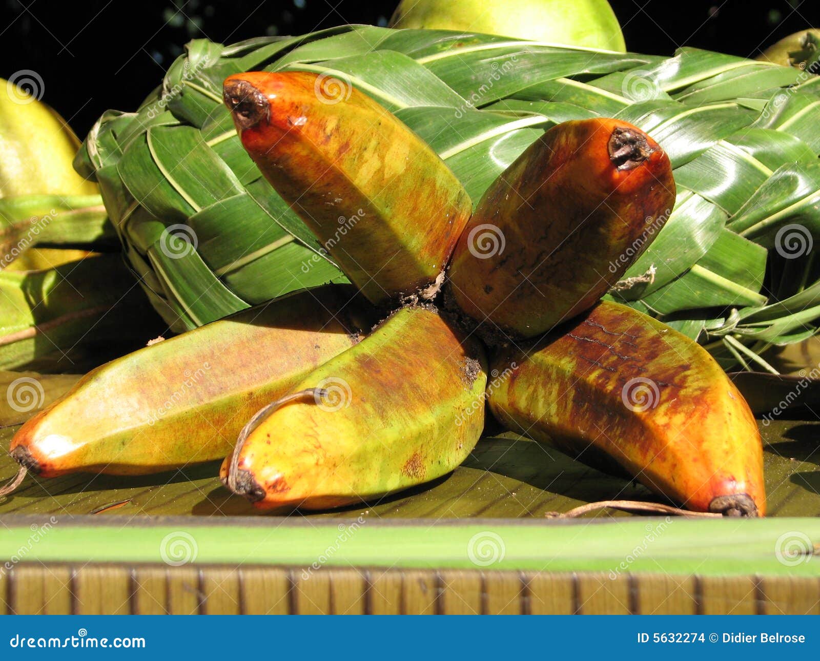 Hand of bananas stock photo. Image of tier, tropical, market - 5632274