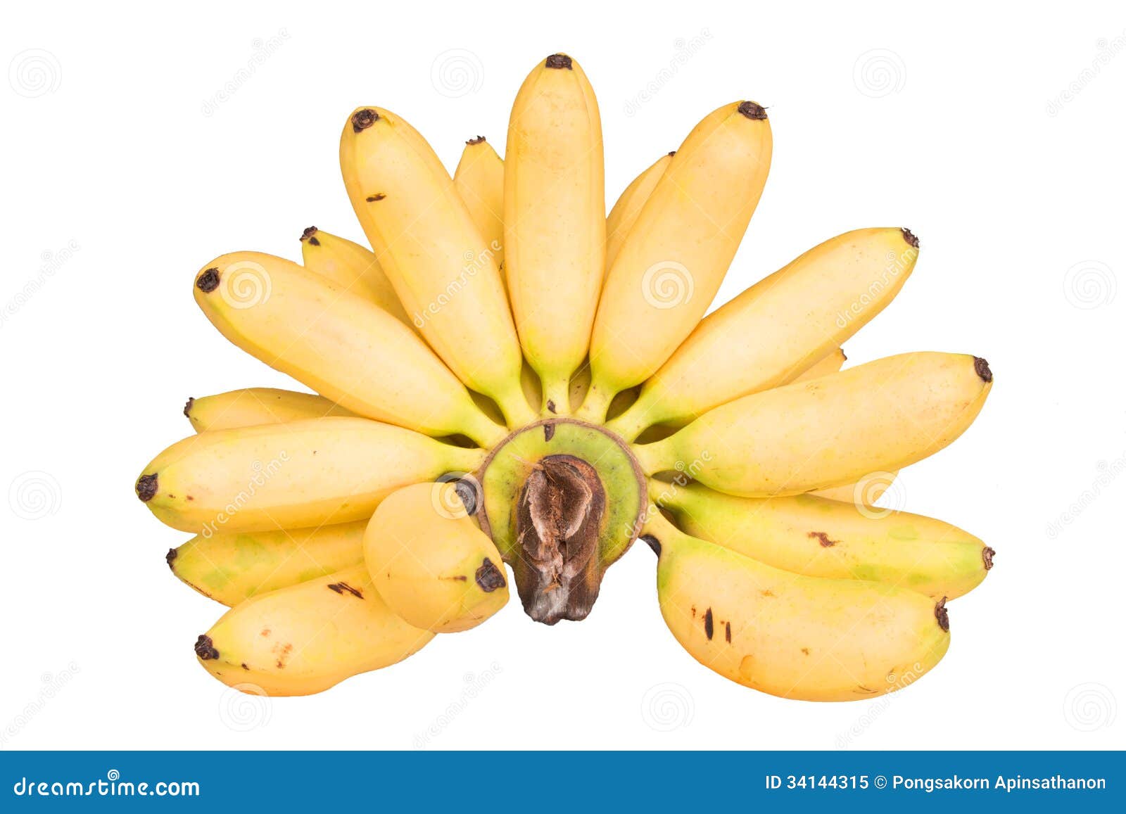 Hand of bananas stock image. Image of white, banana, background - 34144315