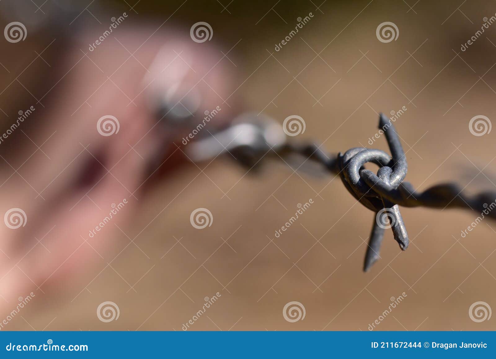 Hand on barb wire stock photo. Image of hand, prison - 211672444