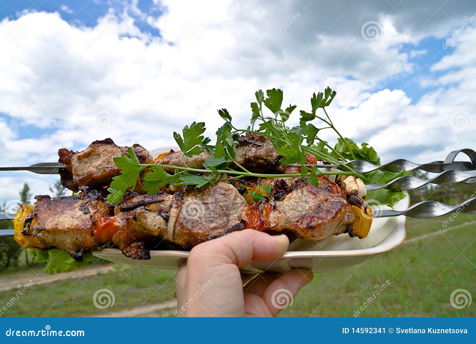 Hand with barbecue stock image. Image of grass, lunch - 14592341