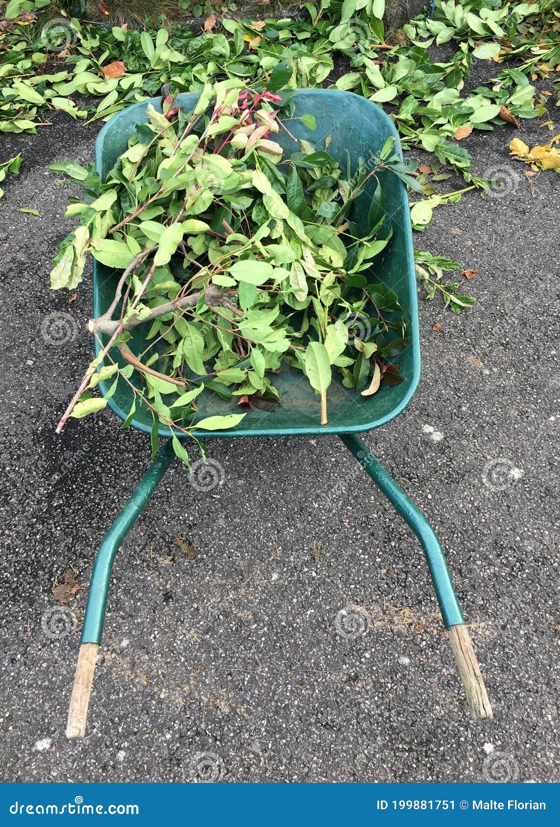 This Hand Barrow is Filled with Greenery Stock Image - Image of asphalt ...