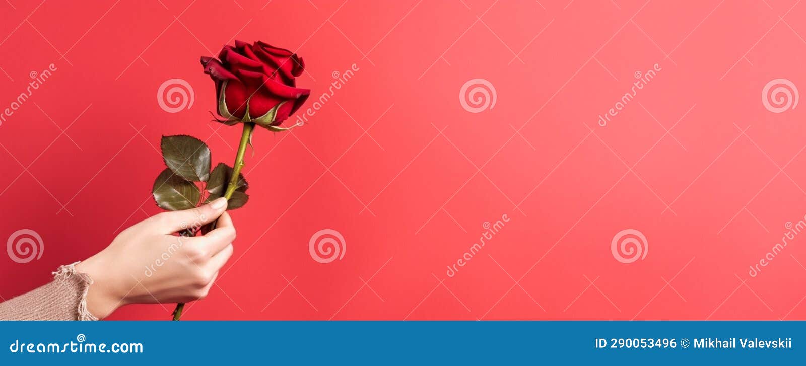 Hand holding roses stock illustration. Illustration of green - 290053496