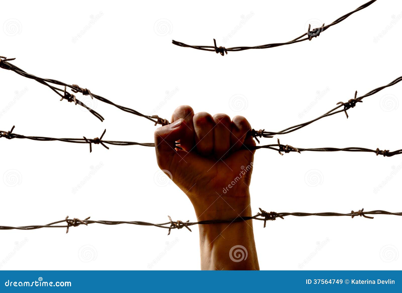 Hand behind barbed wire stock image. Image of palm, hold - 37564749