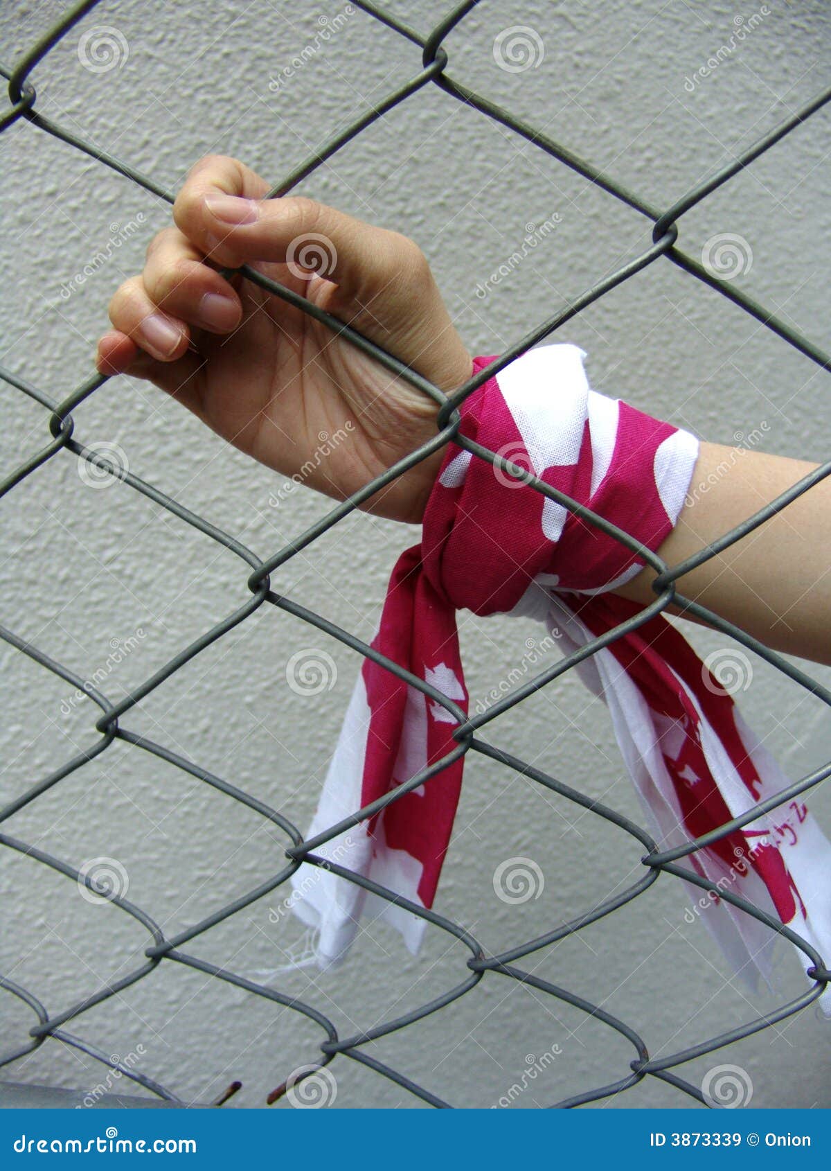 Hand behind a fence stock image. Image of demonstration - 3873339