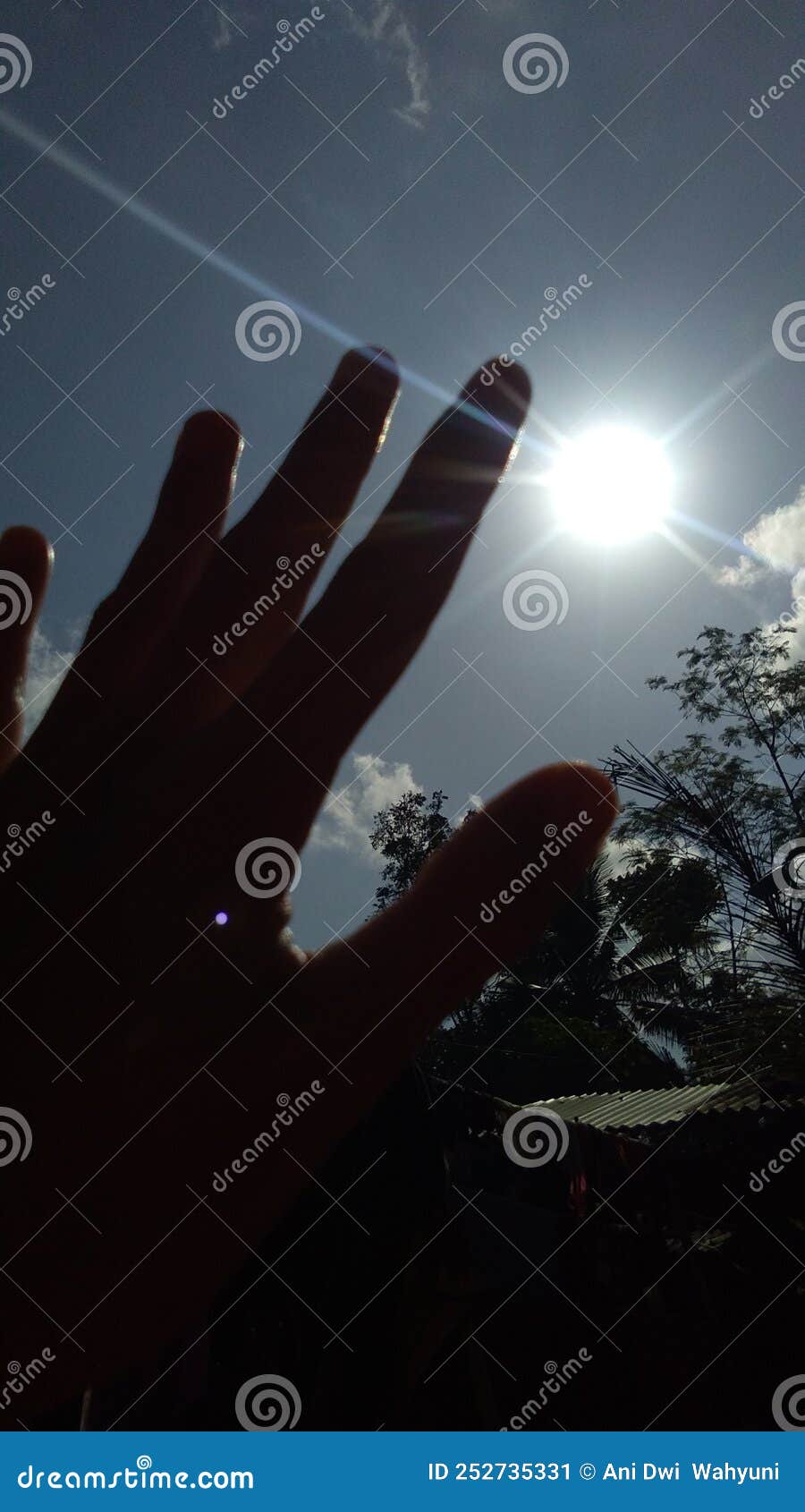 A Hand Below Sunlight in the Morning Stock Image - Image of light ...