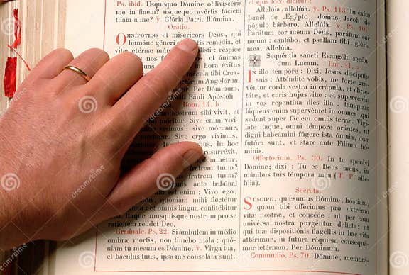 Hand and bible stock image. Image of finger, faith, crucifix - 1437533