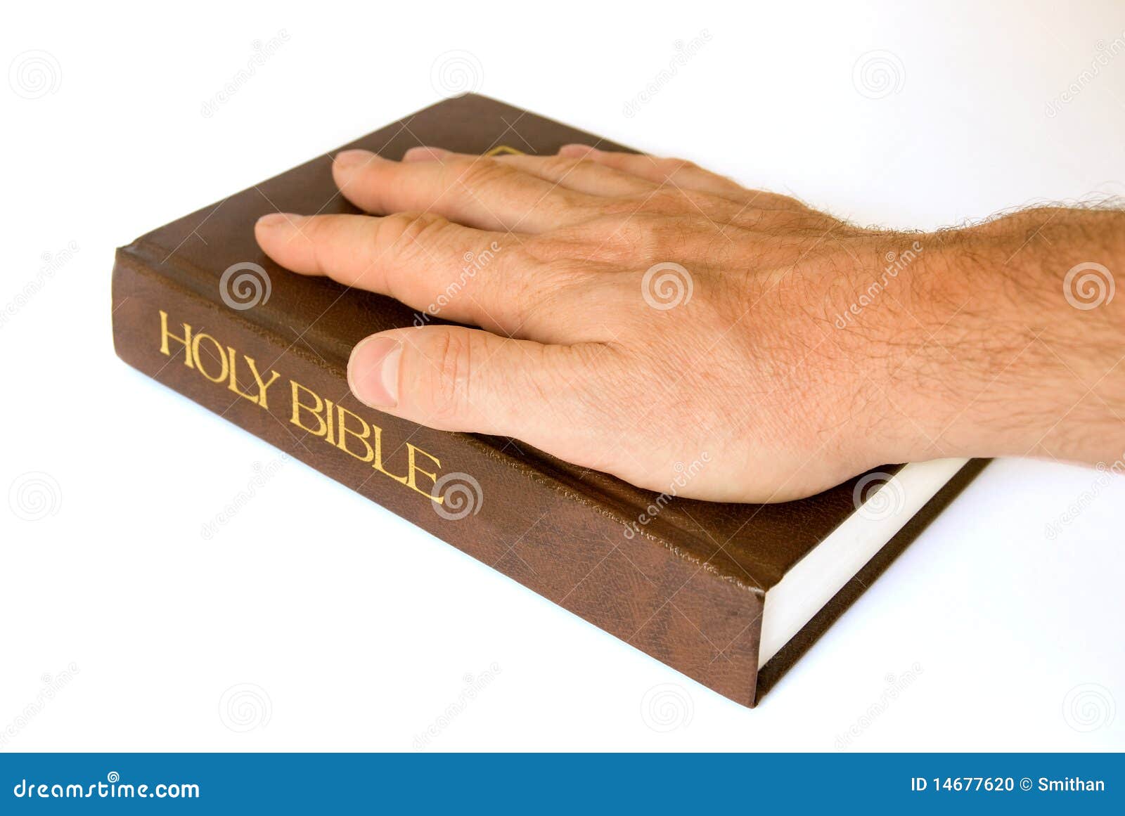 Hand on a Bible stock photo. Image of strong, devotion - 14677620