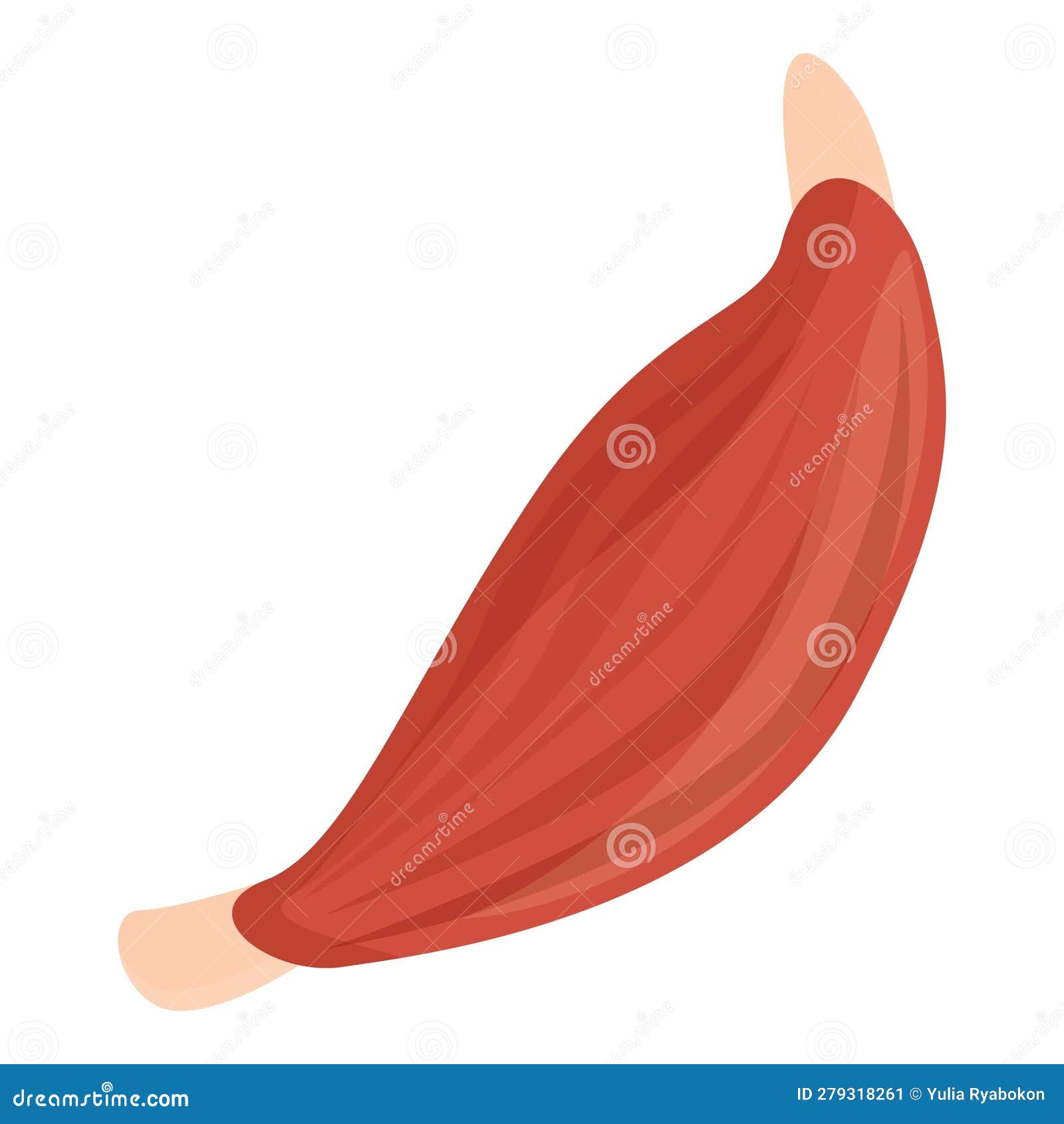 Hand Bicep Icon Cartoon Vector. Strong Arm | CartoonDealer.com #279318418