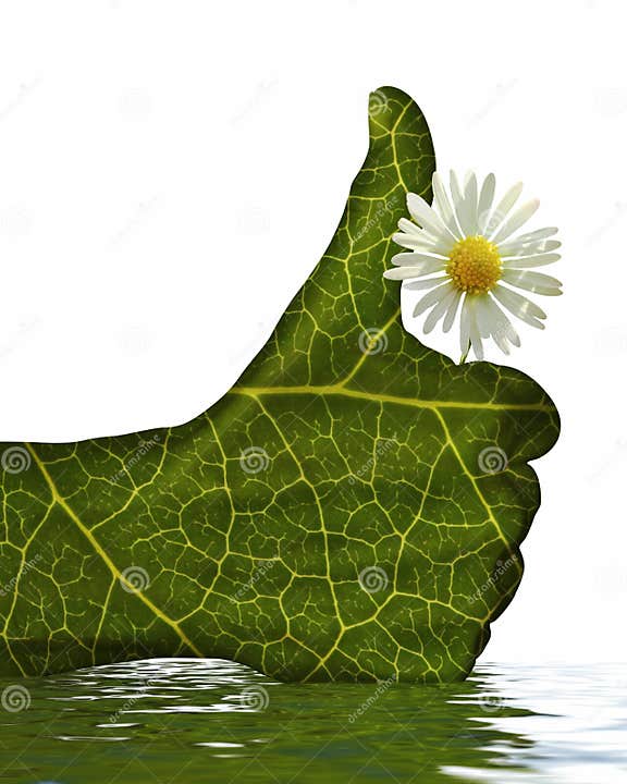 Hand bio stock illustration. Illustration of organic, plant - 6633615