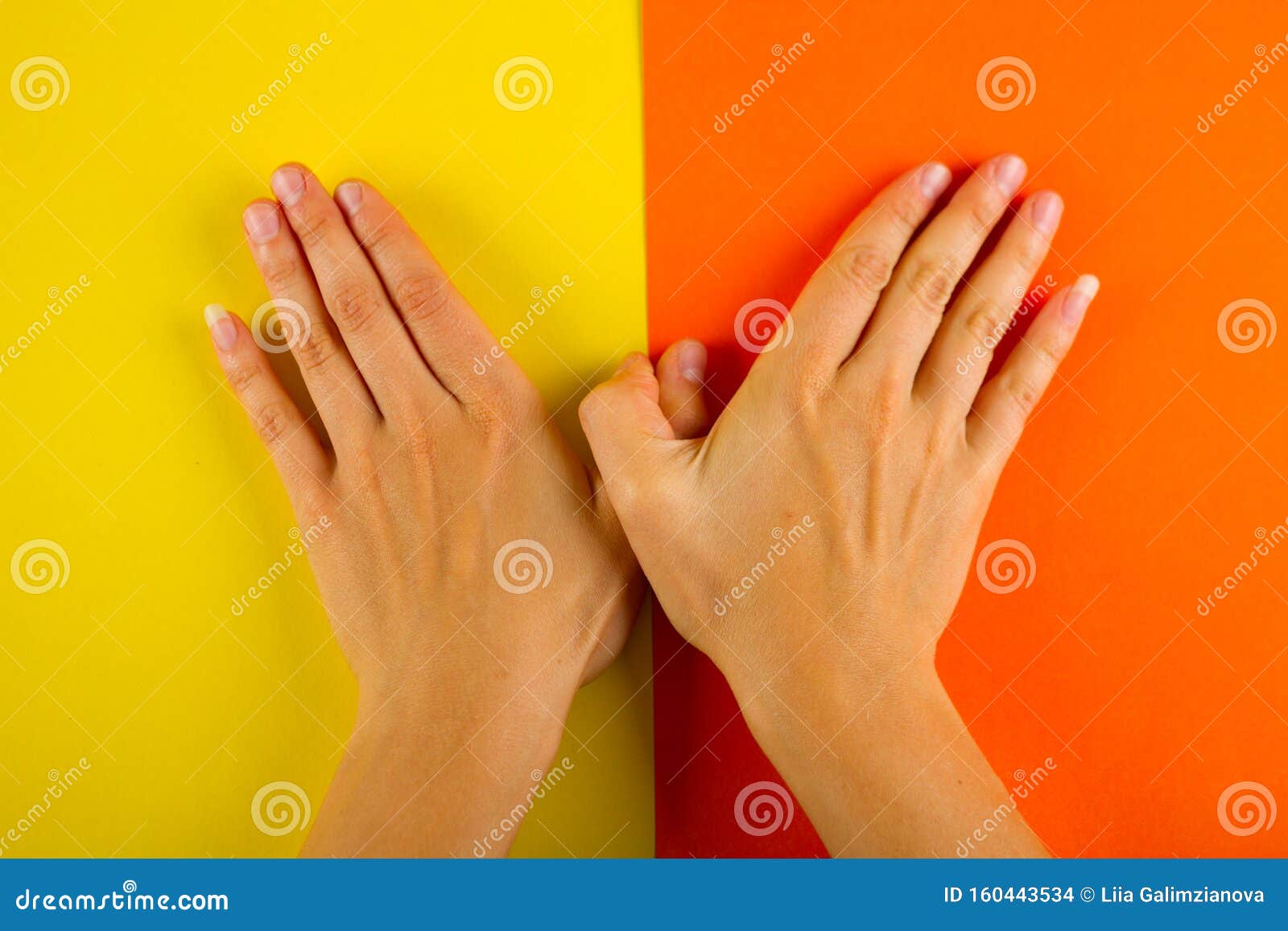 Hand in bird shape stock photo. Image of friendship - 160443534