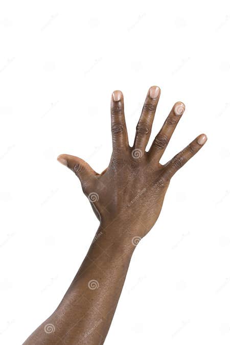 Hand of Black Man stock photo. Image of finger, fingers - 8170098
