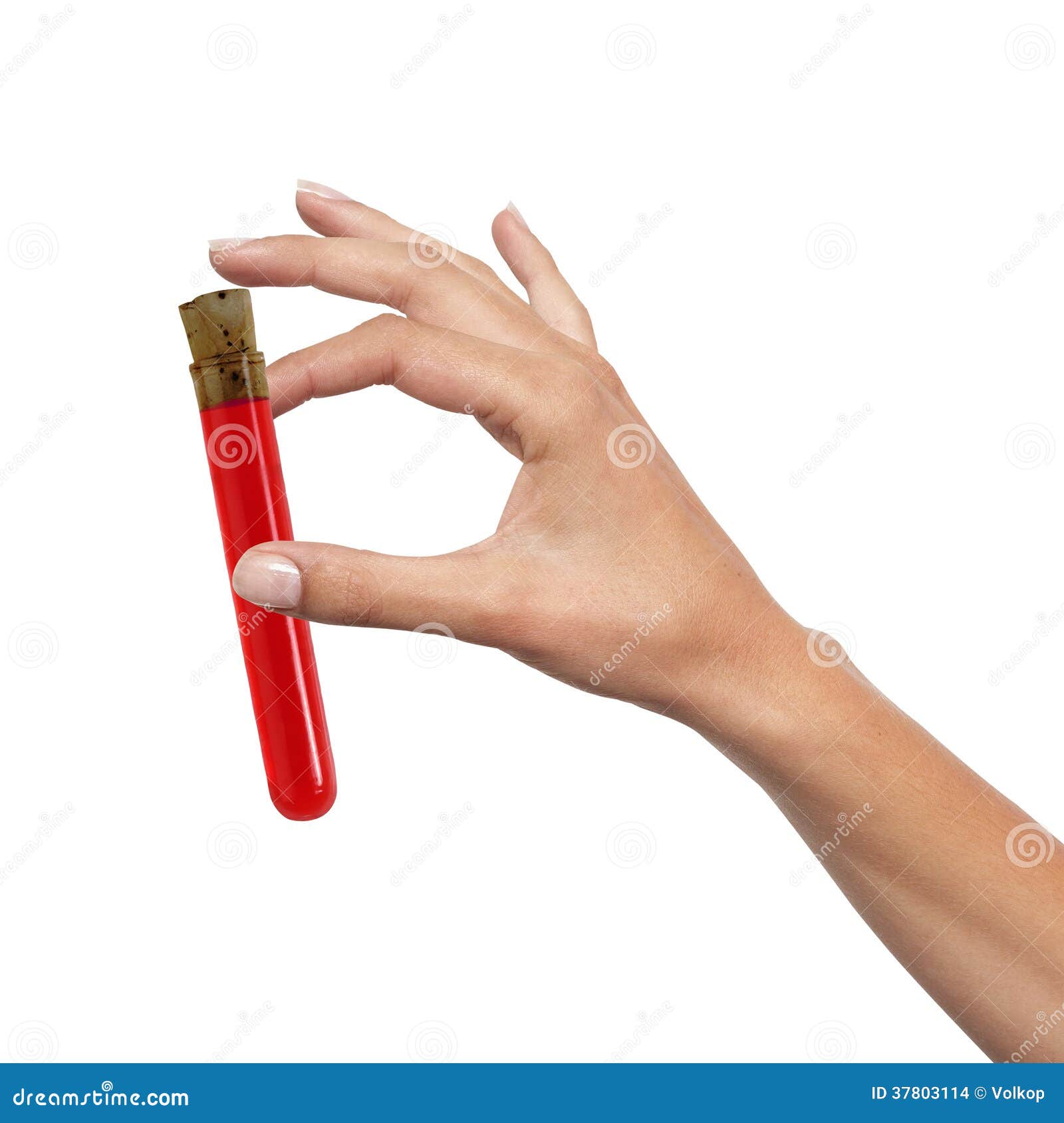 Hand with Blood Test Isolated on White Stock Photo - Image of blood ...