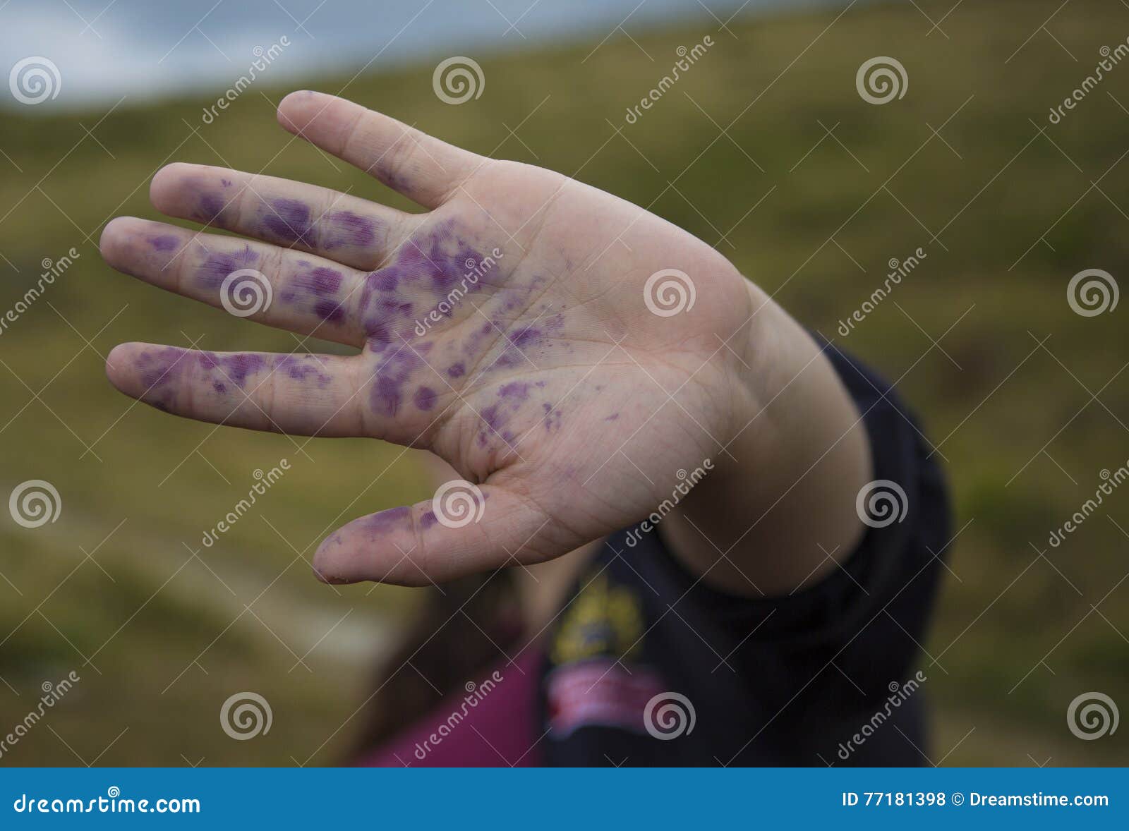 Hand with Blueberry Stains on Stock Photo - Image of blue, purple: 77181398