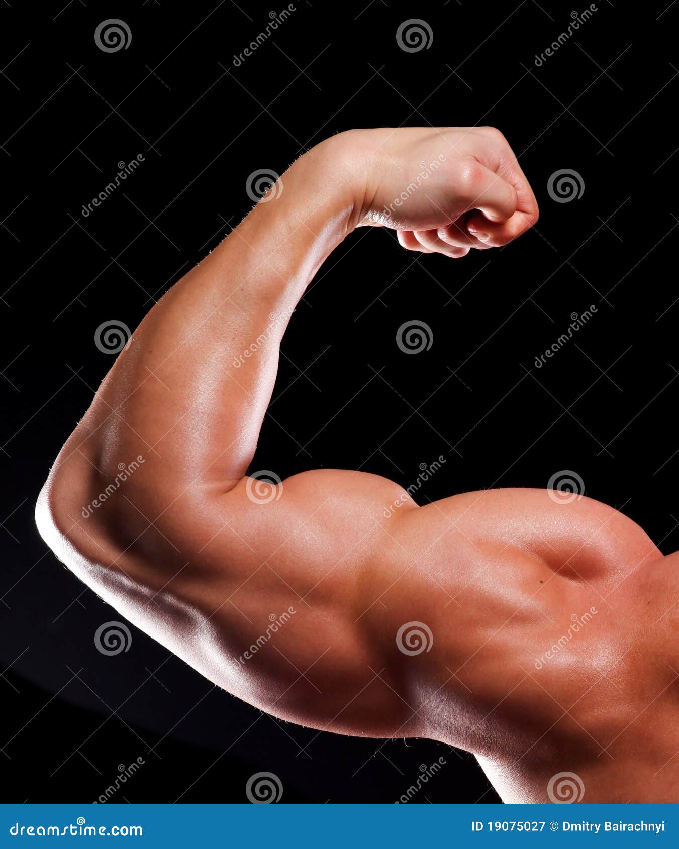 Hand of bodybuilder stock image. Image of sport, arms - 19075027