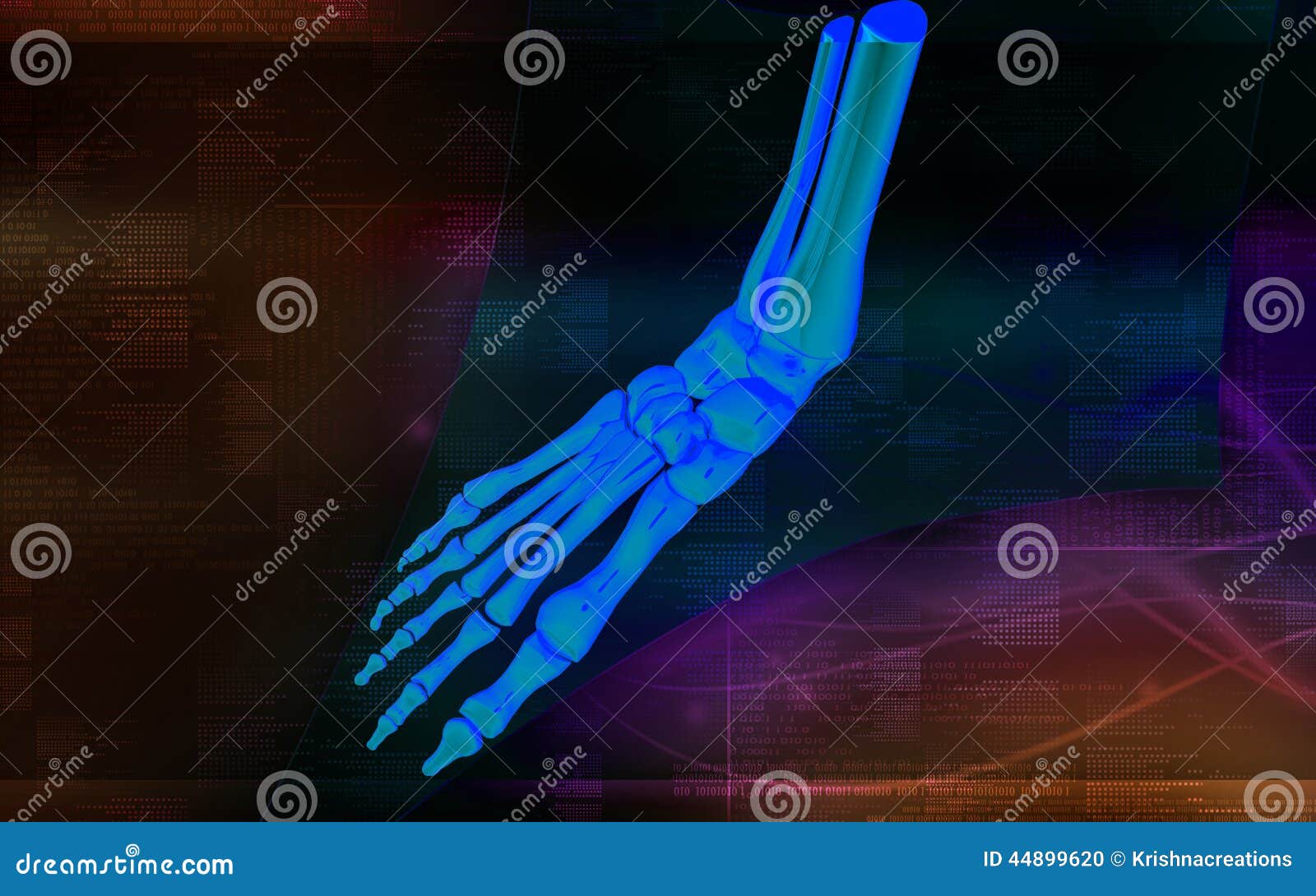 Hand bone stock illustration. Illustration of computer - 44899620