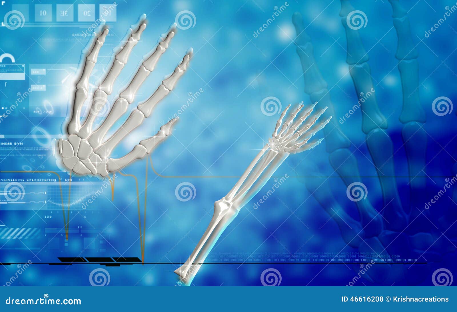 Hand bone stock illustration. Illustration of human, three - 46616208