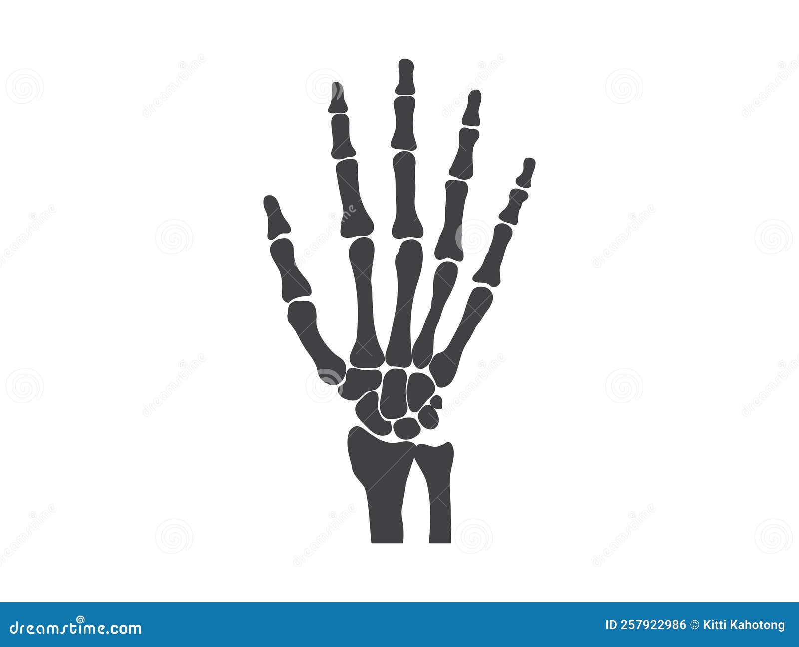 Hand Bones Black and White Human Skeleton Bone Hands Stock Illustration ...