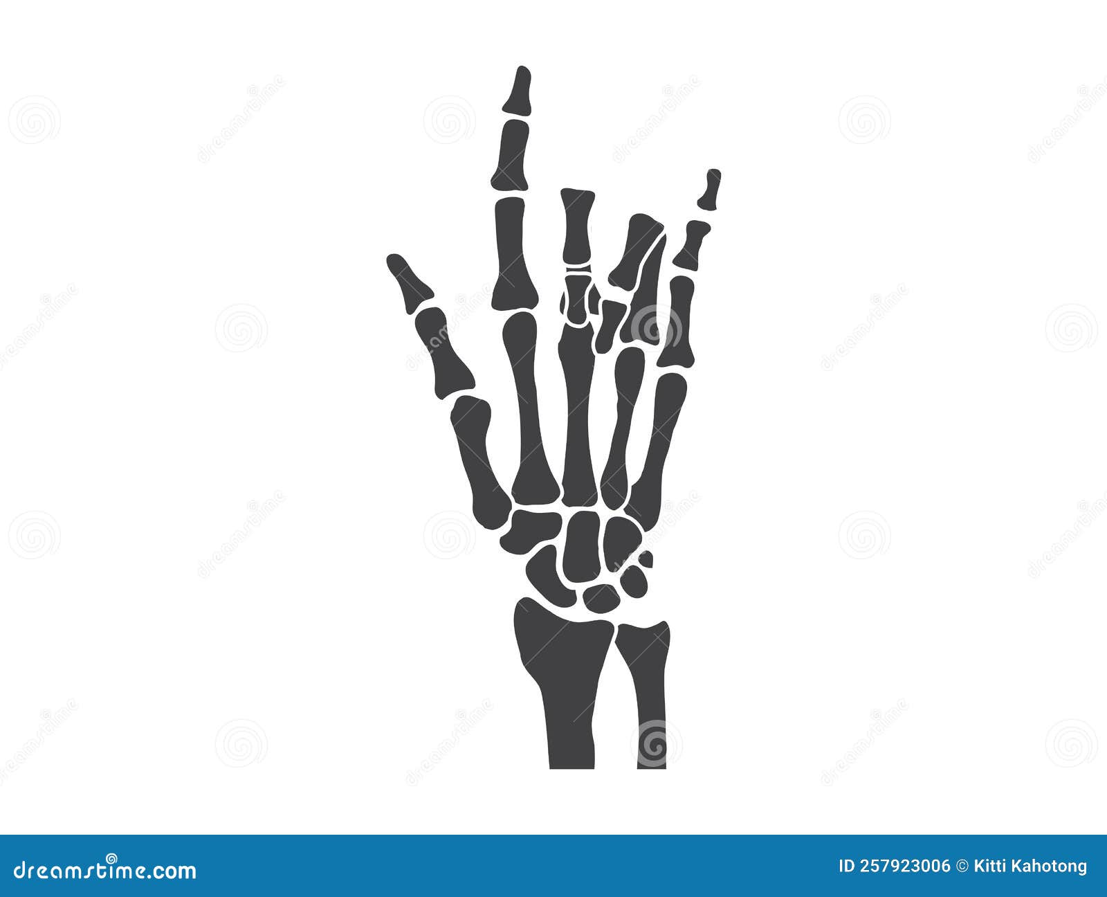 Hand Bones Black and White Human Skeleton Bone Hands Stock Illustration ...