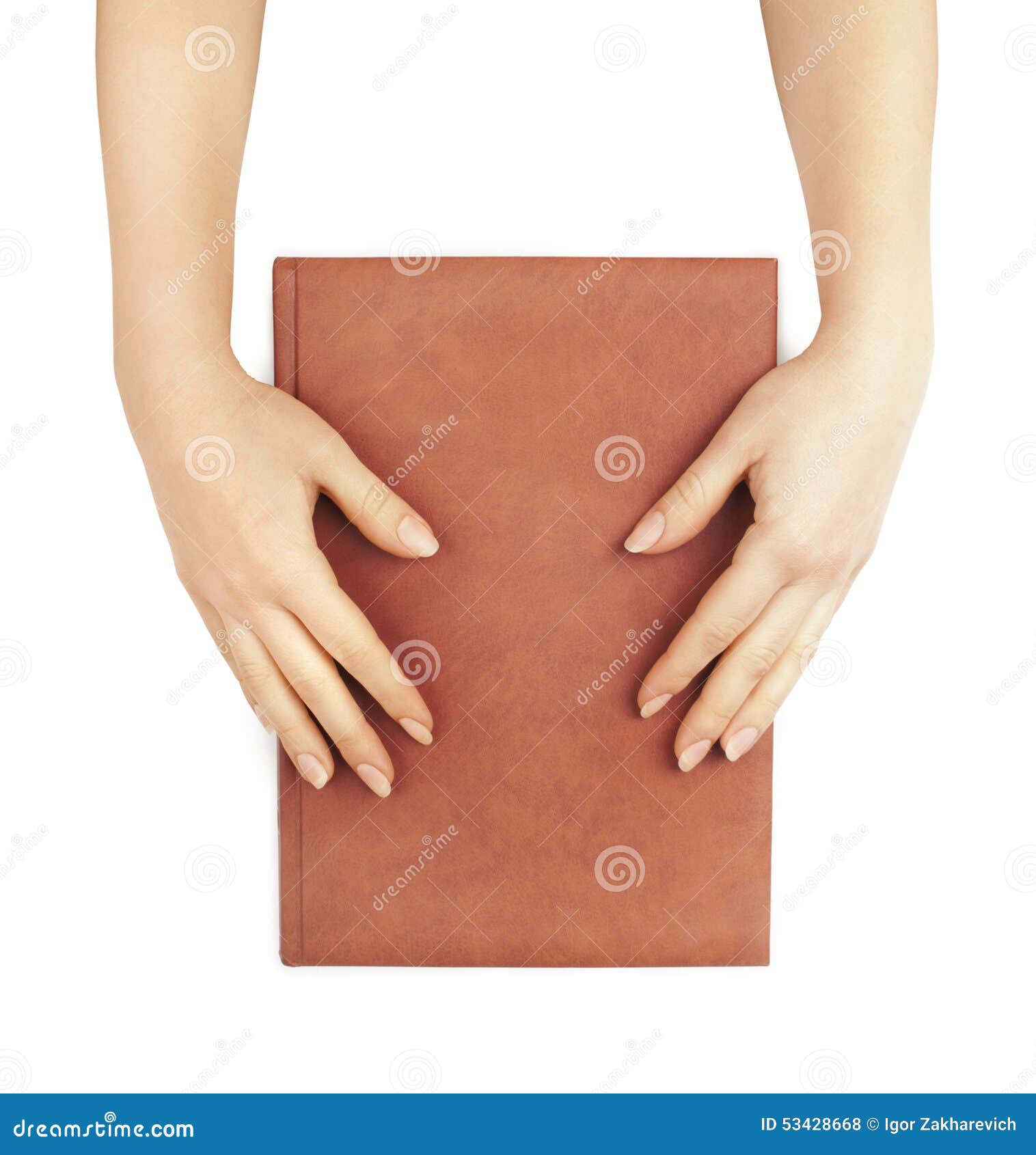 Hand on the book stock photo. Image of education, book - 53428668