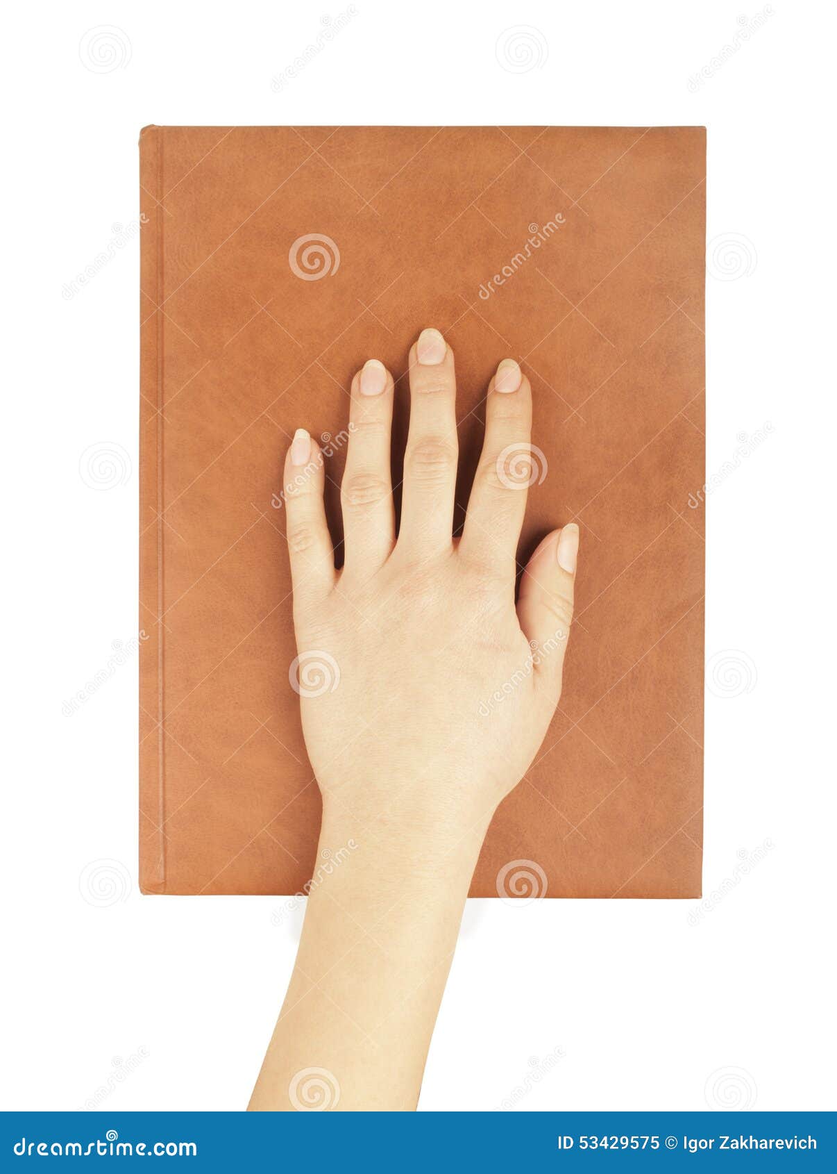 Hand on the book stock image. Image of library, hand - 53429575