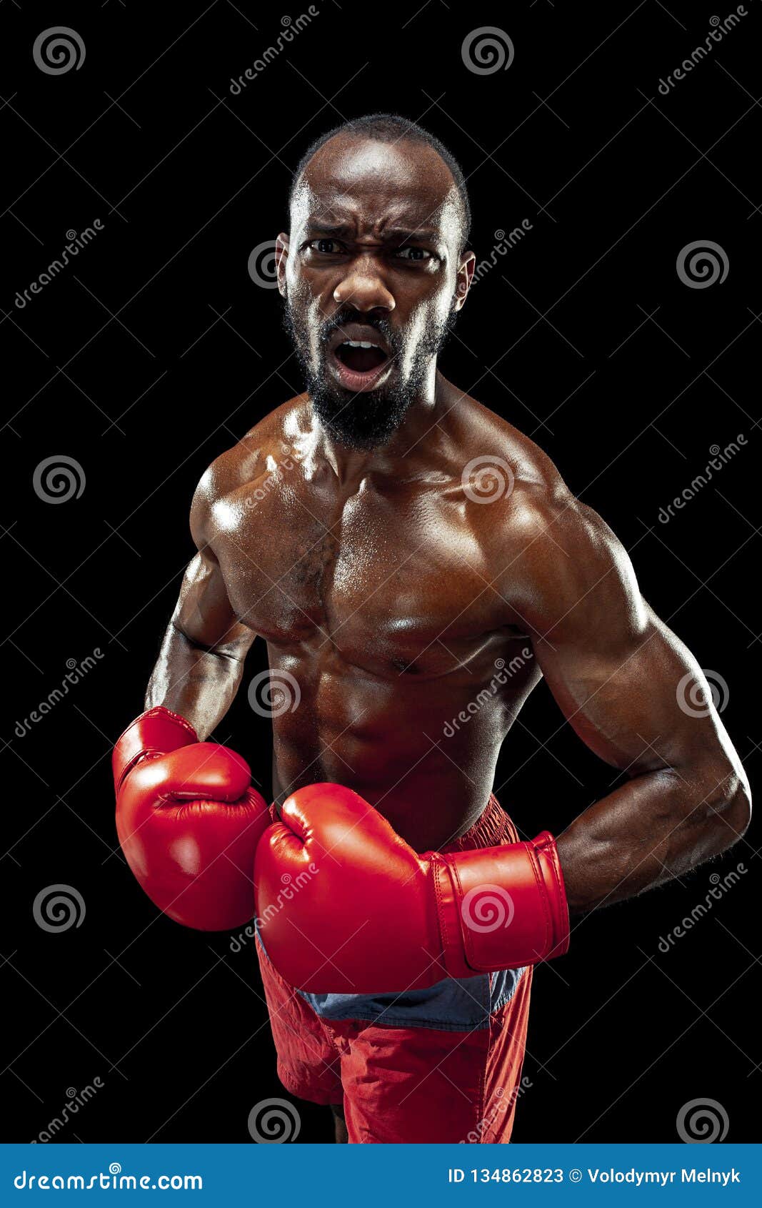 Hand of Boxer Over Black Background. Strength, Attack and Motion ...