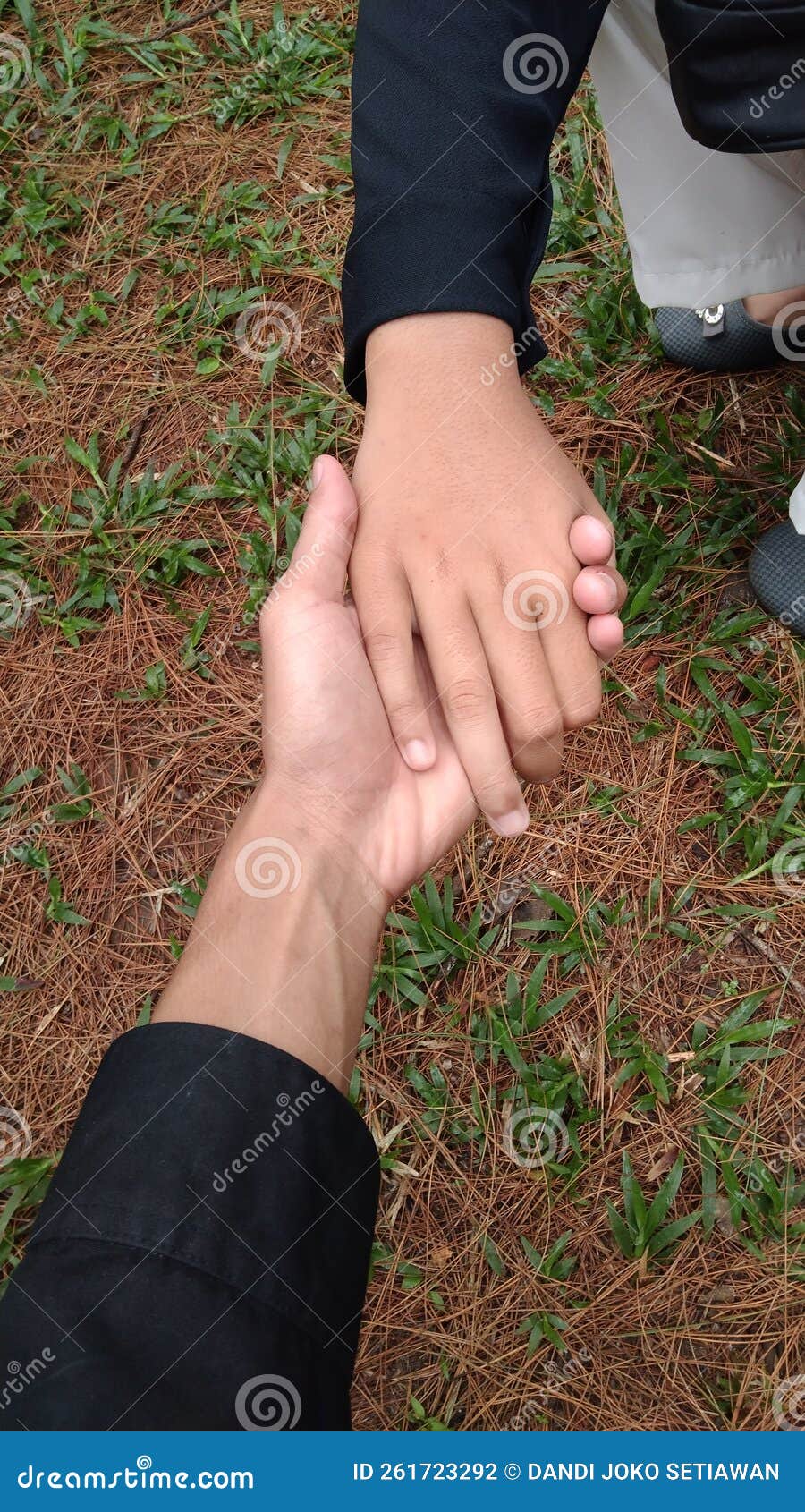 Hand in Hand with Boyfriend Stock Photo - Image of tree, plant: 261723292