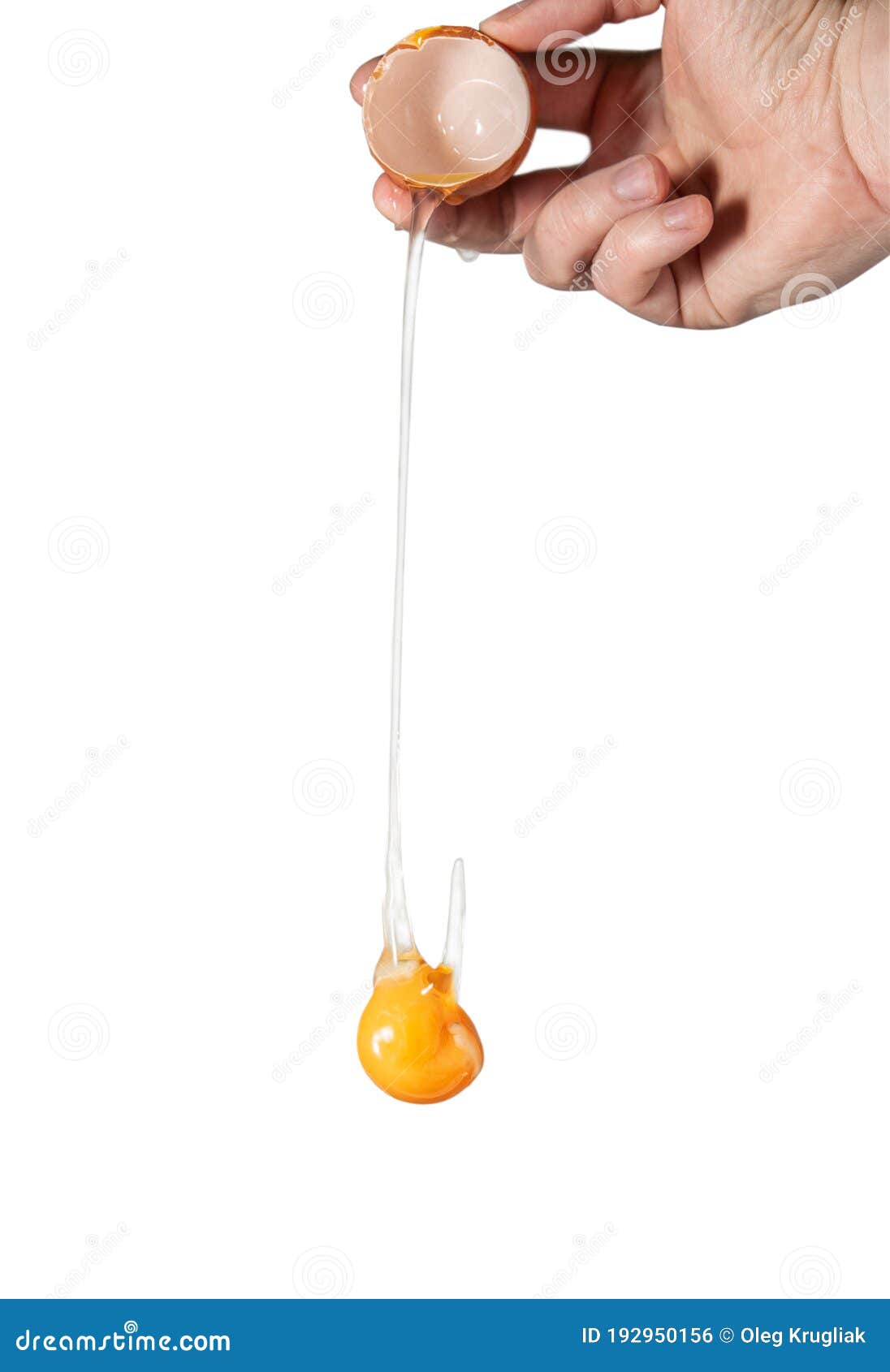 A Hand Breaks a Chicken Egg. Isolate on a White Background Stock Photo ...