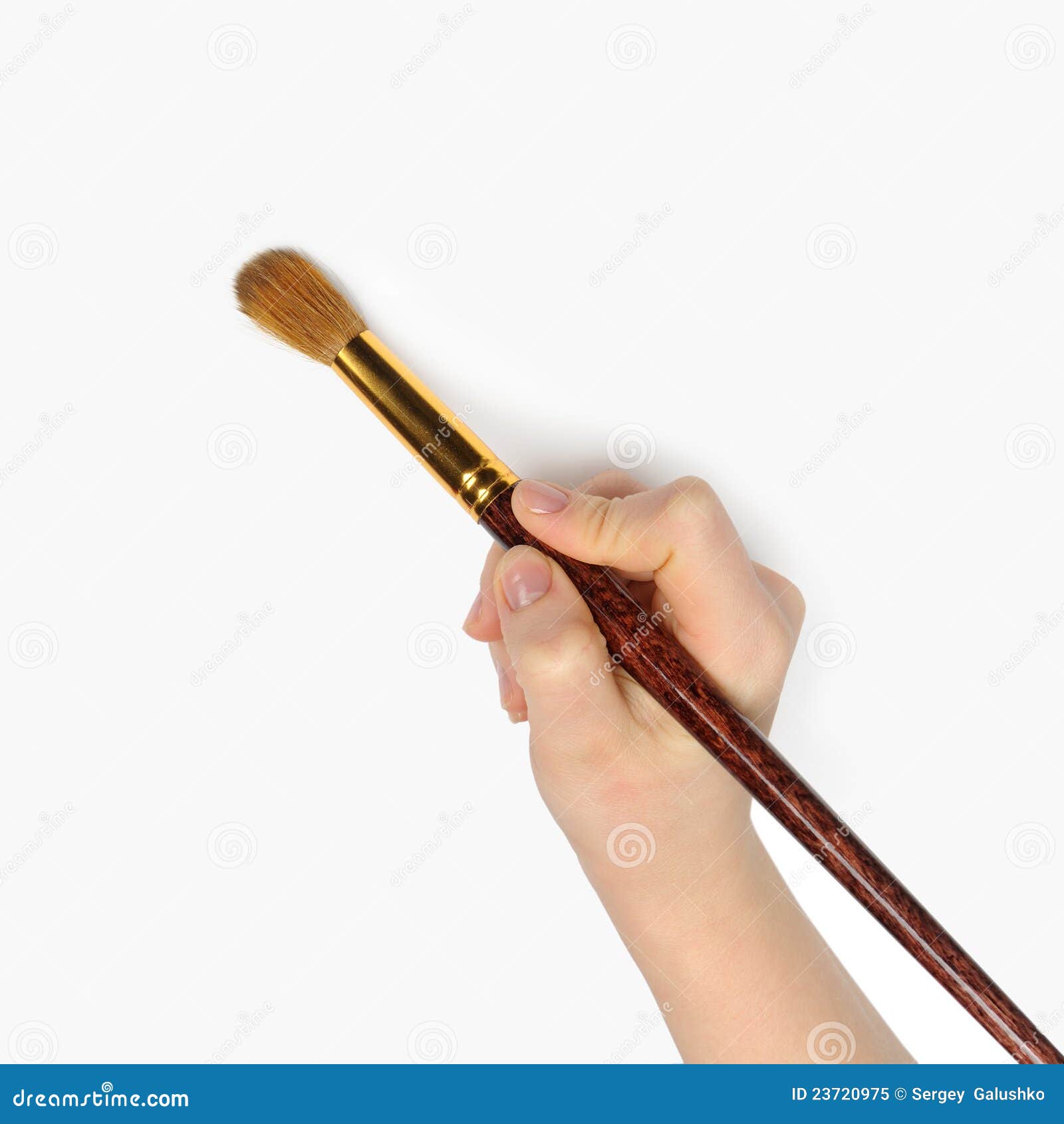Hand with a brush stock image. Image of decorate, paintbrush - 23720975