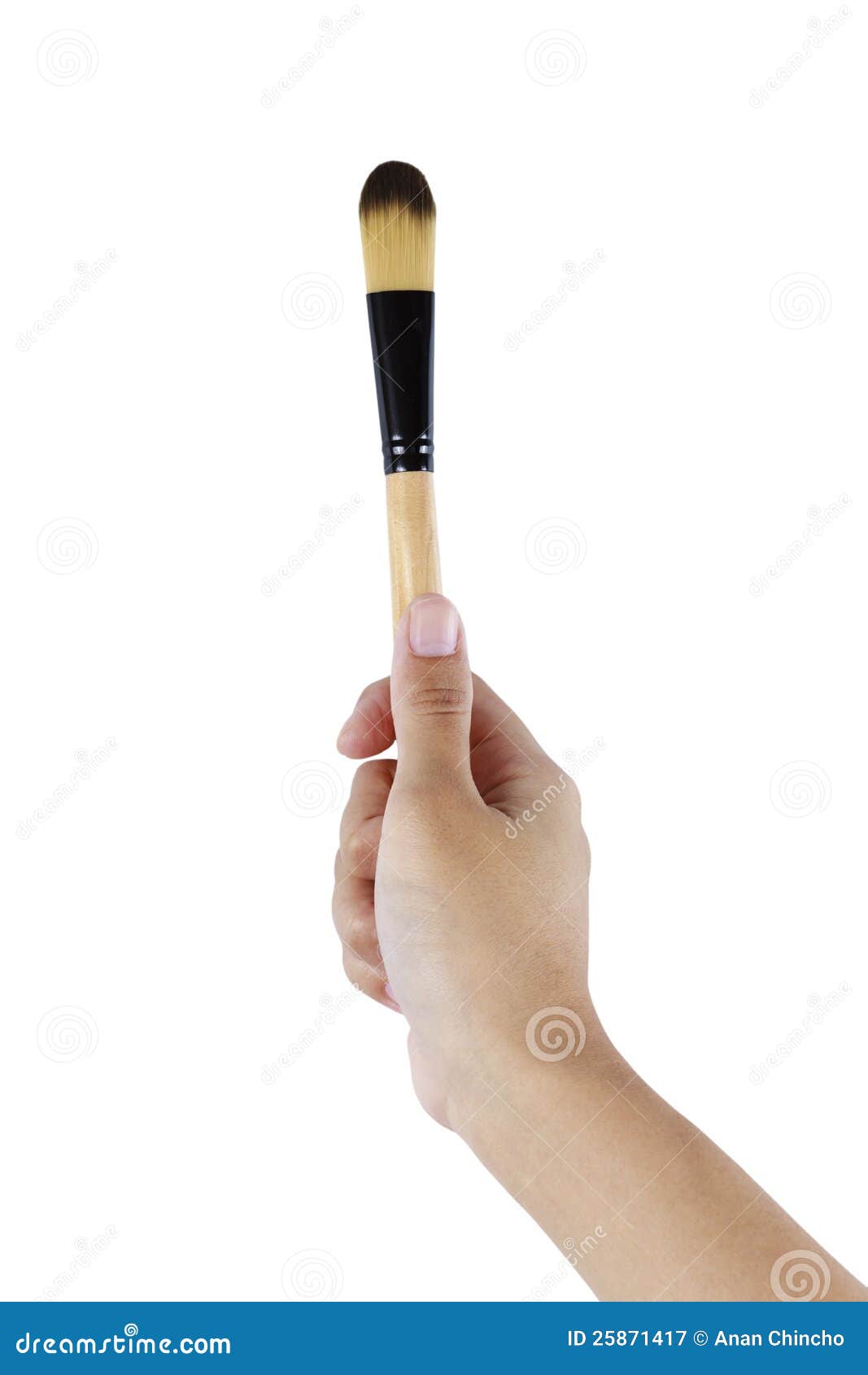 Hand with a brush stock image. Image of artistic, brush - 25871417