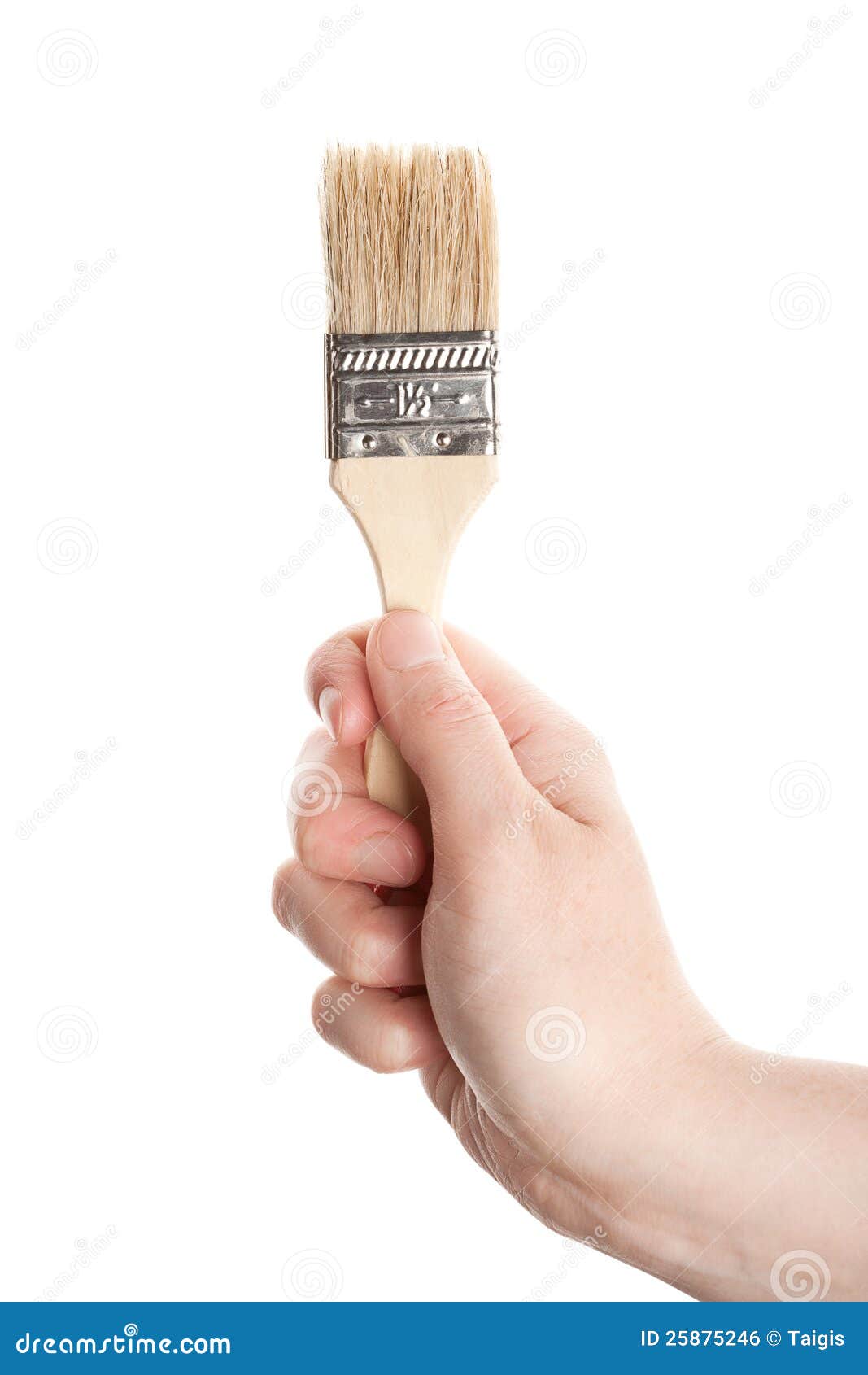 Hand with a brush stock photo. Image of female, paint - 25875246