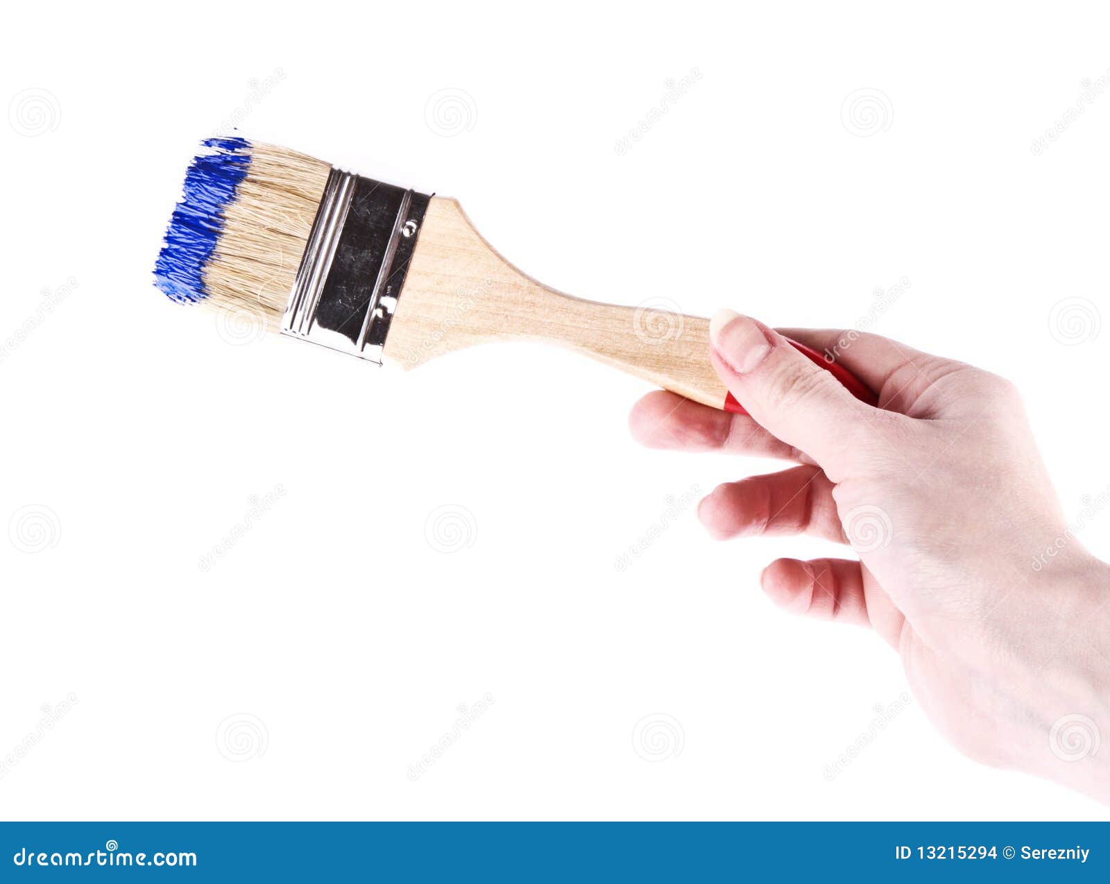 Hand with Brush and Blue Paint Isolated Stock Photo - Image of applying ...