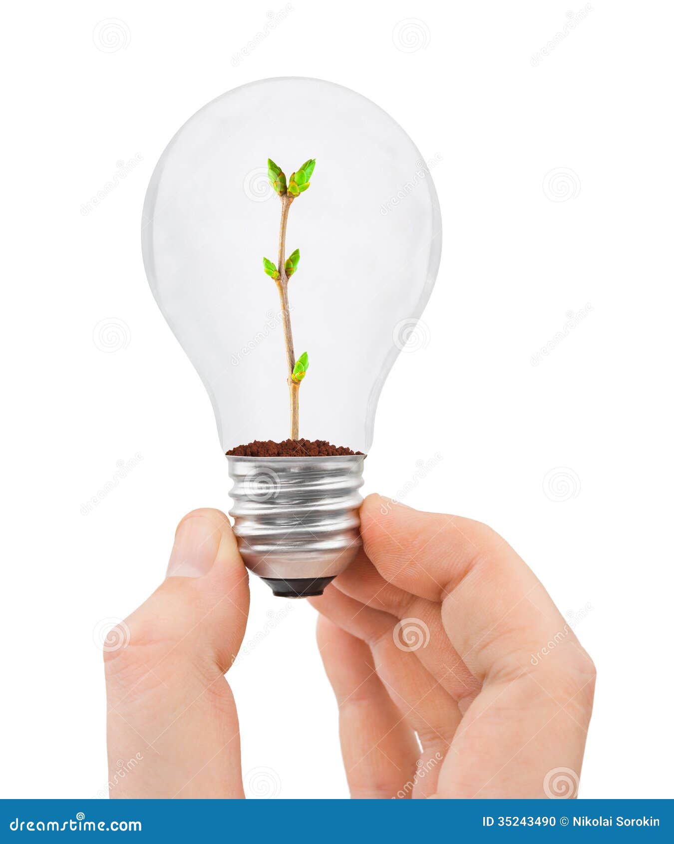 Hand with bulb and plant stock photo. Image of electricity - 35243490