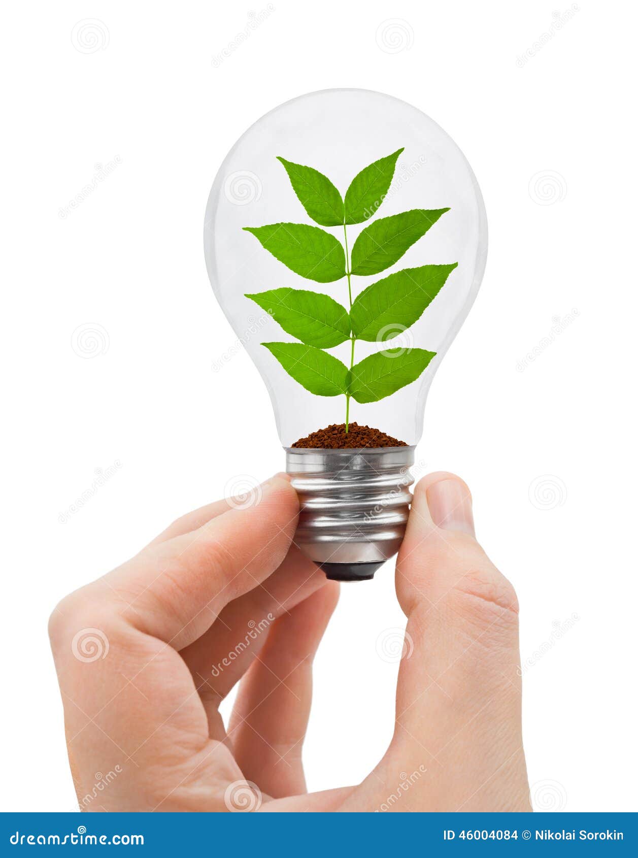 Hand with bulb and plant stock photo. Image of inspiration - 46004084