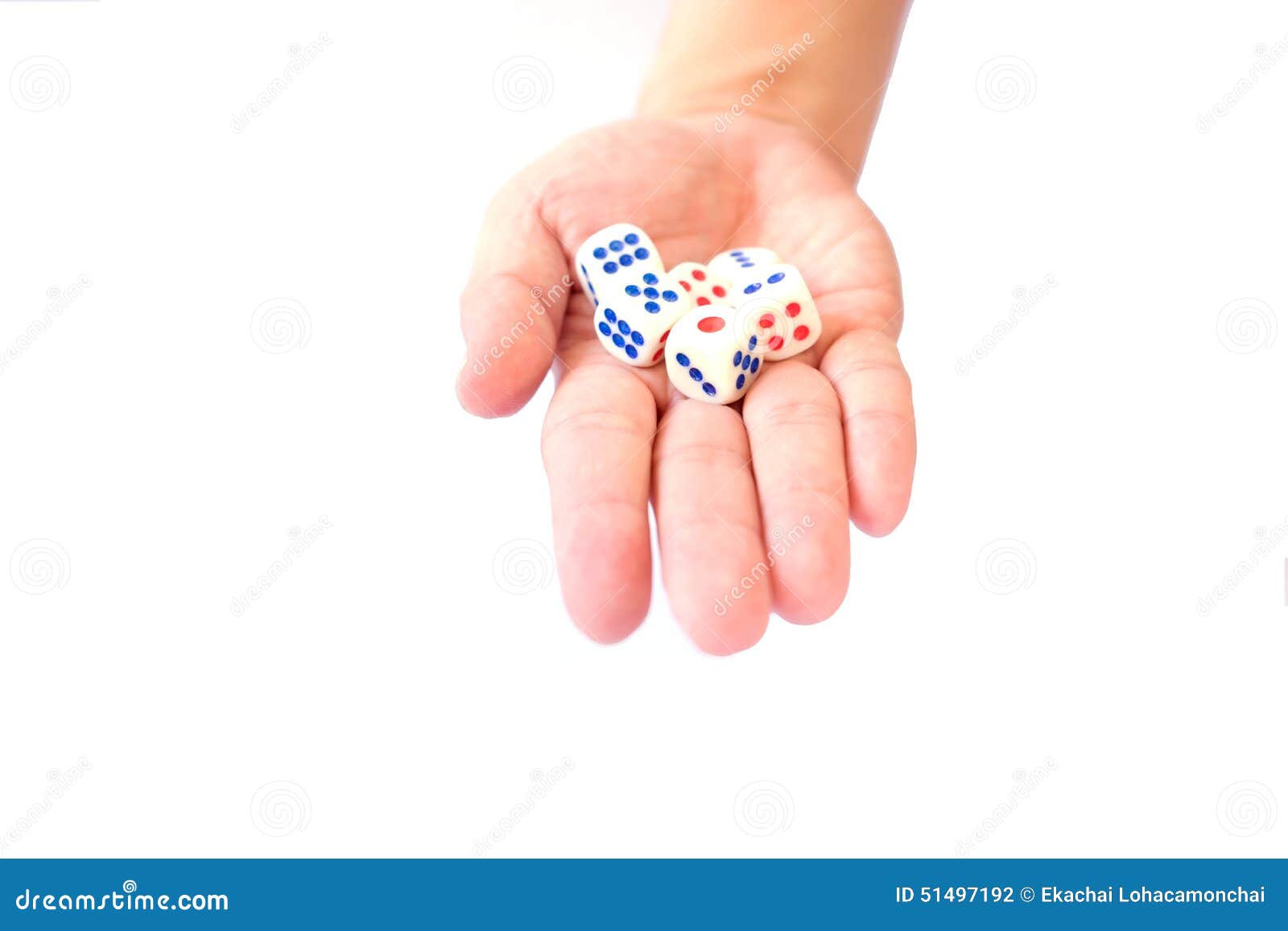 A Hand with a Bunch of Dice Stock Photo - Image of roll, board: 51497192