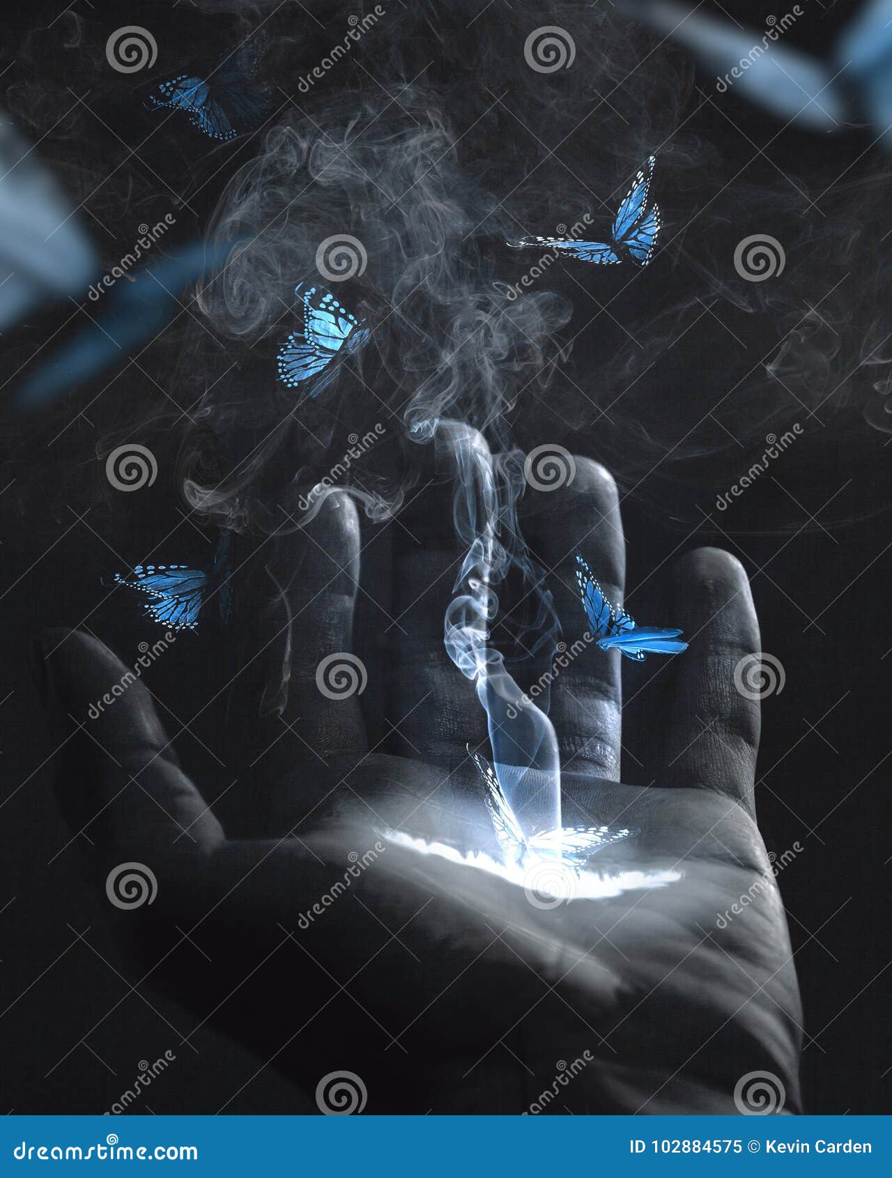 Hand and butterflies stock image. Image of blue, background - 102884575