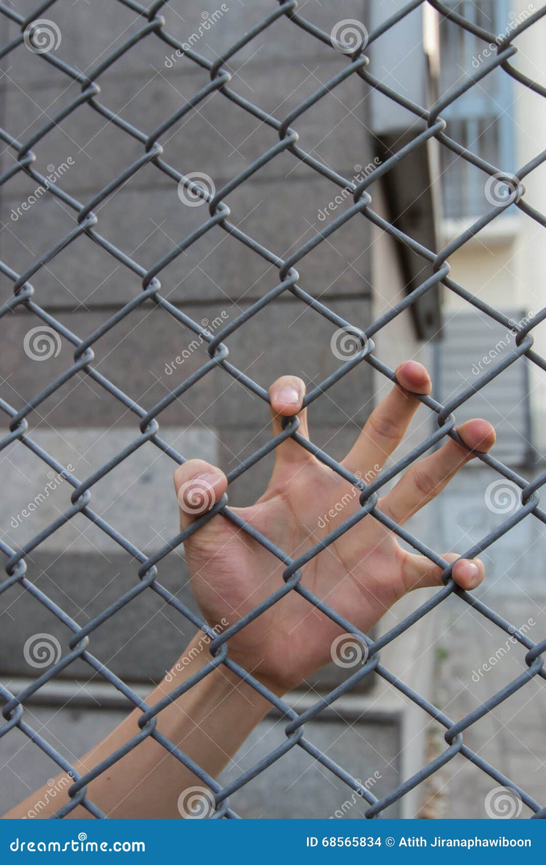 Hand in the cage stock photo. Image of security, justice - 68565834