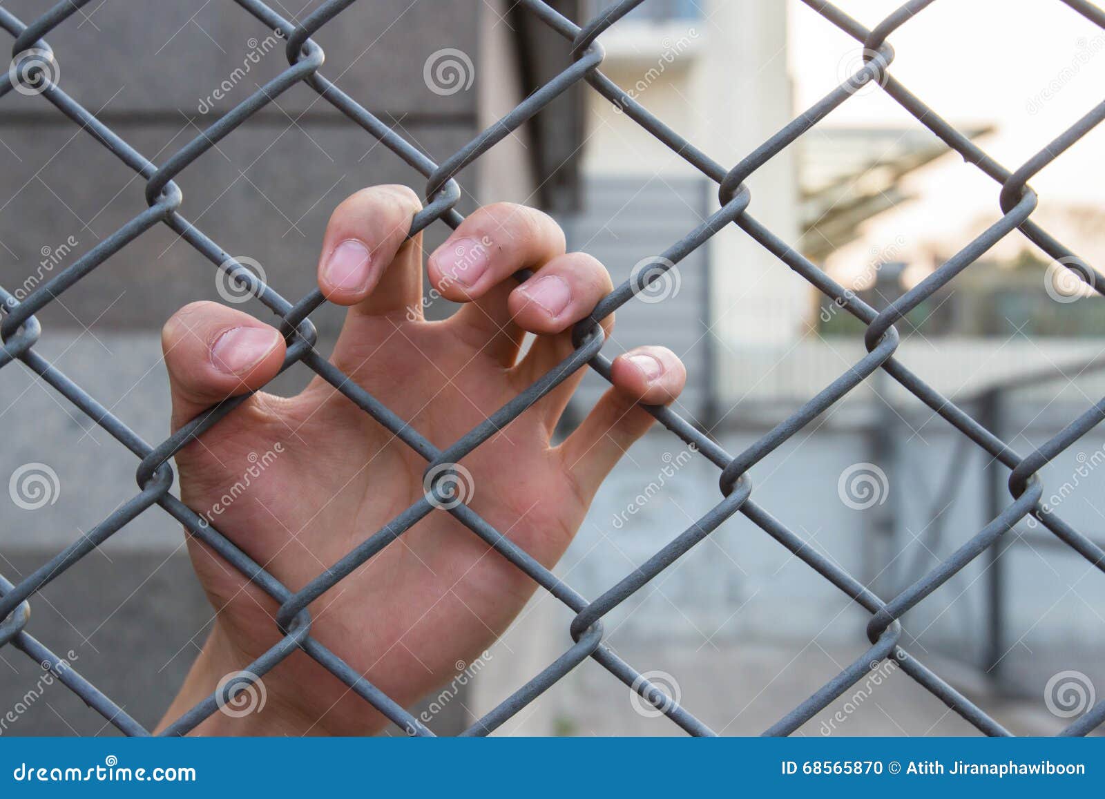 Hand in the cage stock photo. Image of steel, justice - 68565870