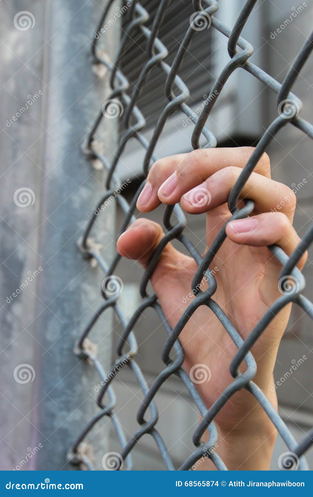 Hand in the cage stock photo. Image of people, young - 68565874