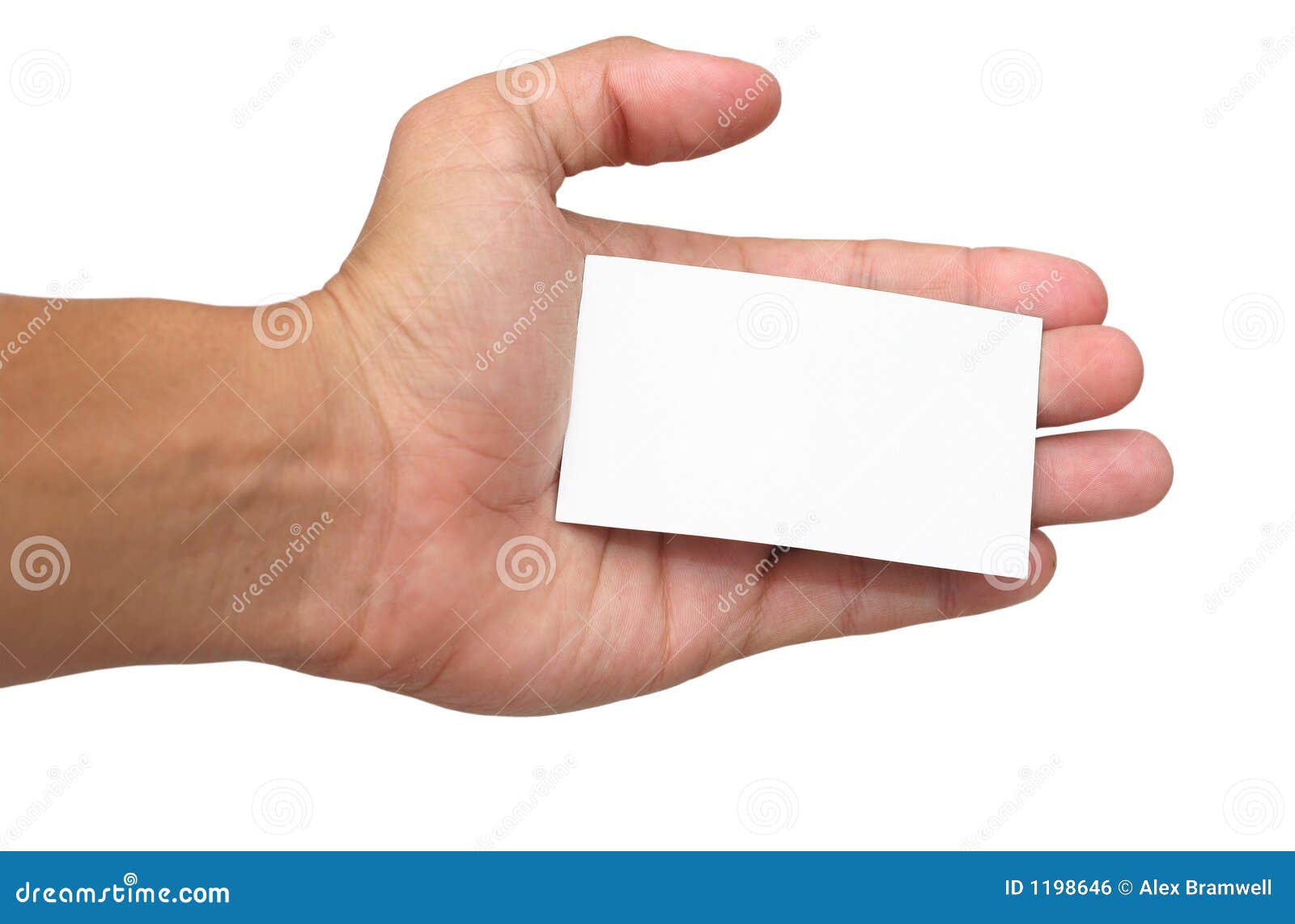 Hand and Card stock photo. Image of healthy, hold, masculine - 1198646