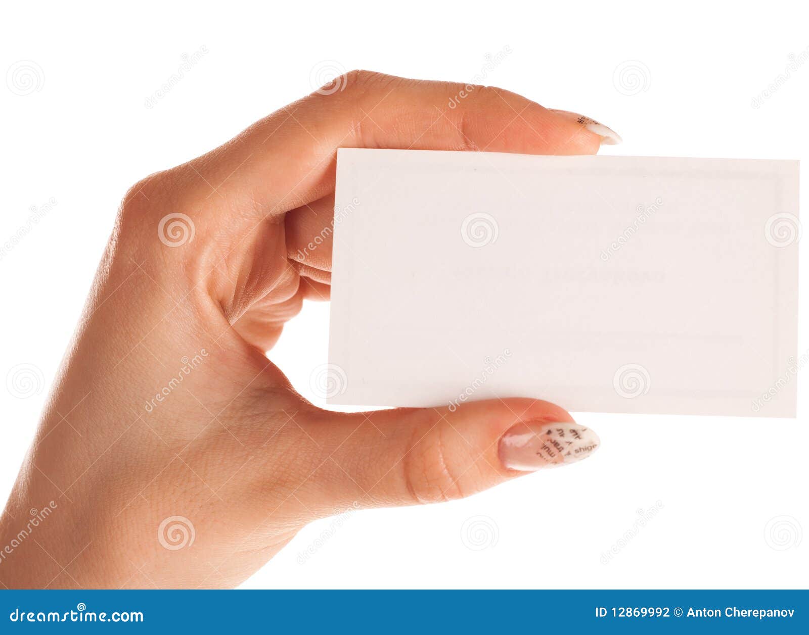 Hand with card stock photo. Image of team, girl, studio - 12869992