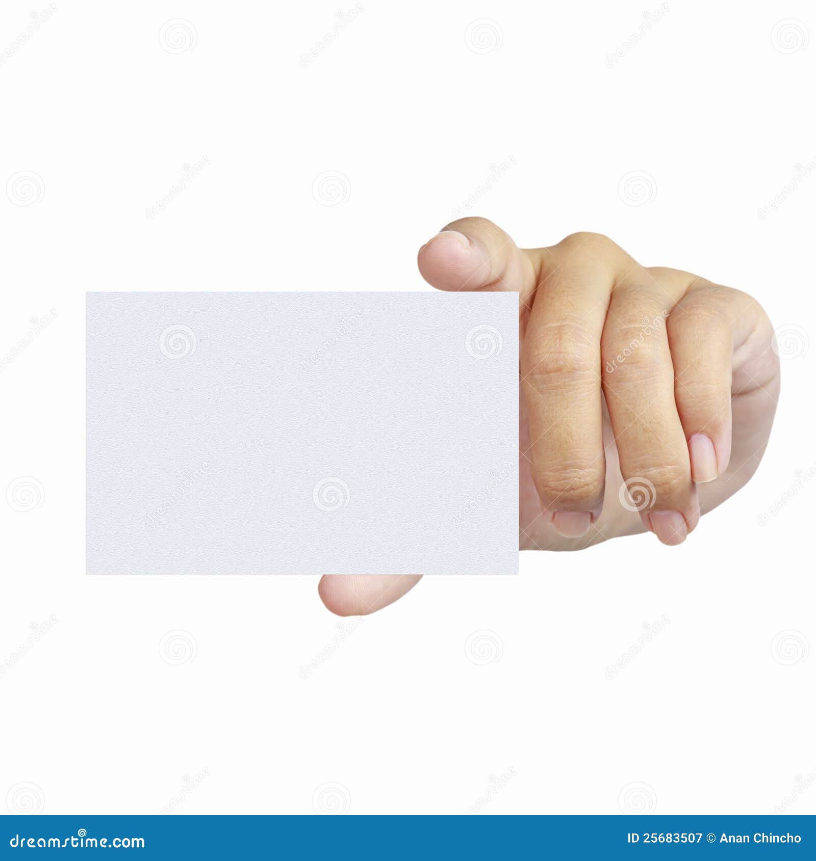 Hand and a Card Isolated on White Stock Image - Image of employment ...