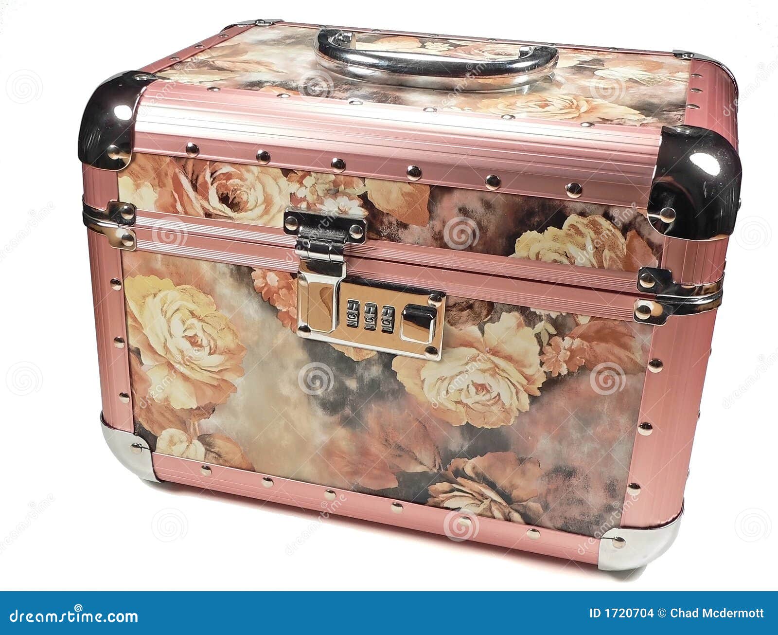 Hand Case/Luggage stock photo. Image of suit, pink, female - 1720704