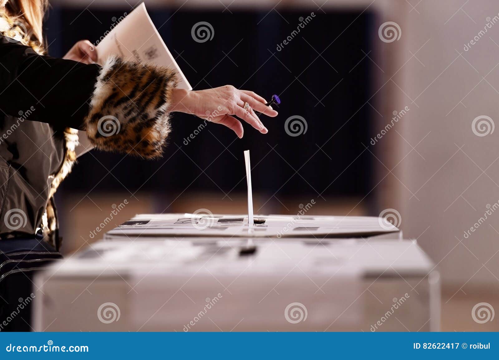 Hand Casting a Vote into the Ballot Box Stock Image - Image of election ...