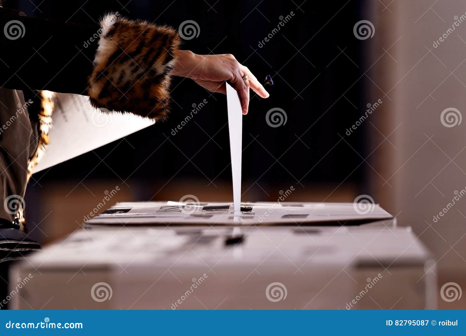 Hand Casting a Vote into the Ballot Box Stock Image - Image of election ...