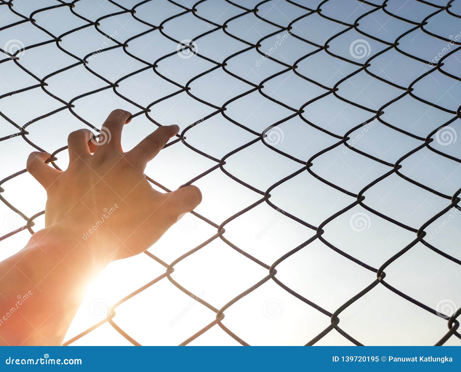 The Hand is Catching the Cage Stock Image - Image of hand, cage: 139720195